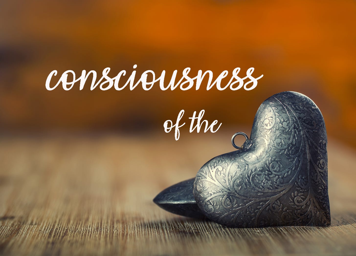Looking for Comfort - by Todd Hayen, PhD, RP - Shrew Views