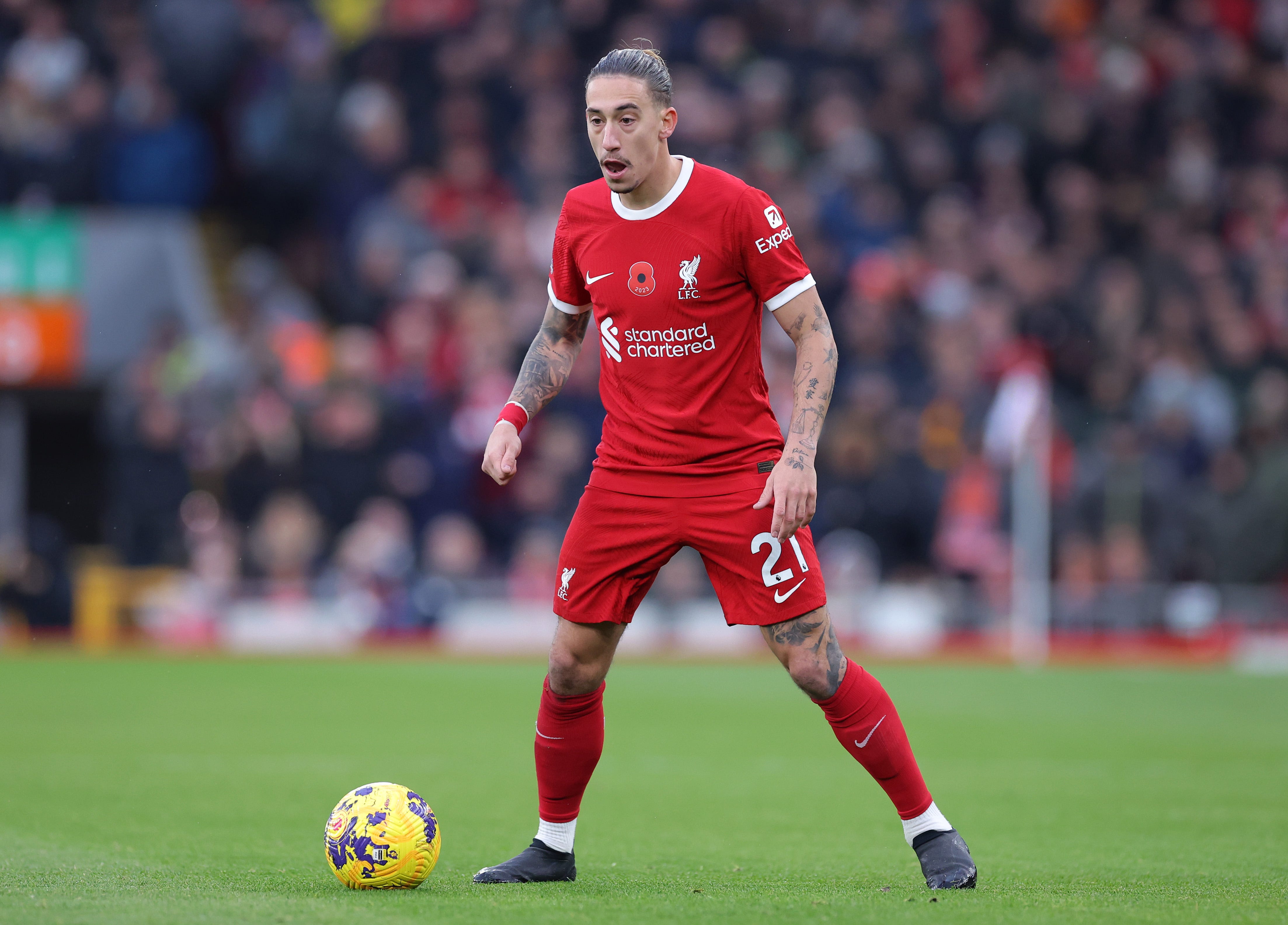 🤩 EOTK FPL Gameweek 12 Review 🤩: Tsimikas benching frustration, Palmer ...