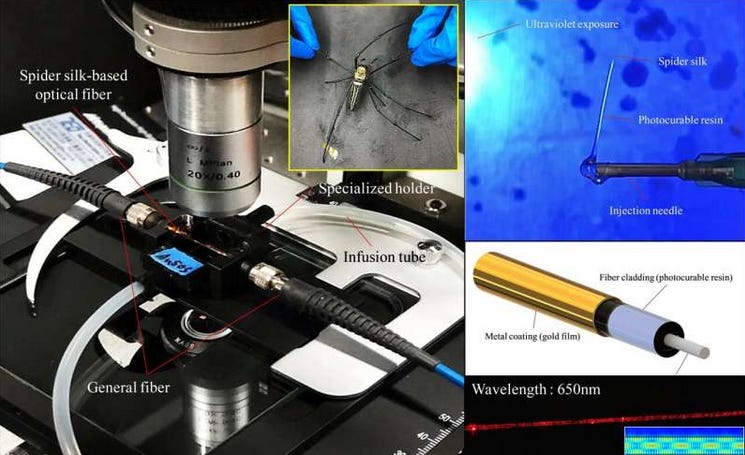 Spider Silk Polyamide Polymers Applications In Self Assembly ...