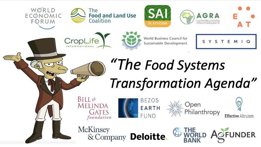 How to think about False Solutions in the Food System – an introduction.