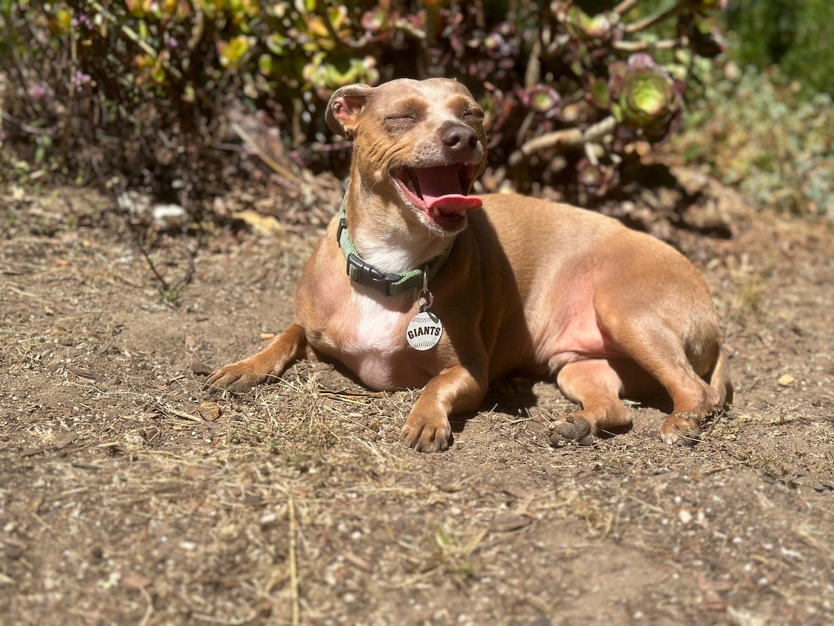 🌱 Sproutpeople News 🌱 - Sproutpeople’s Newsletter