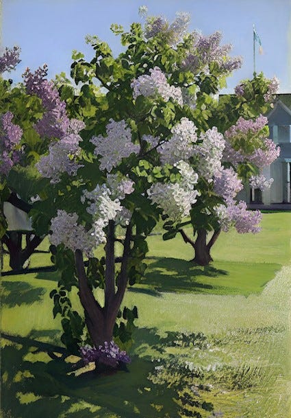 Lilacs - by Paul Wittenberger - Paul’s Substack