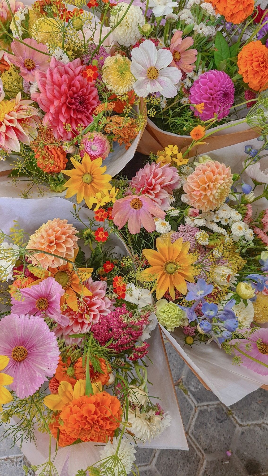 Farmer's Market Saturdays - by Kristen Rivenbark