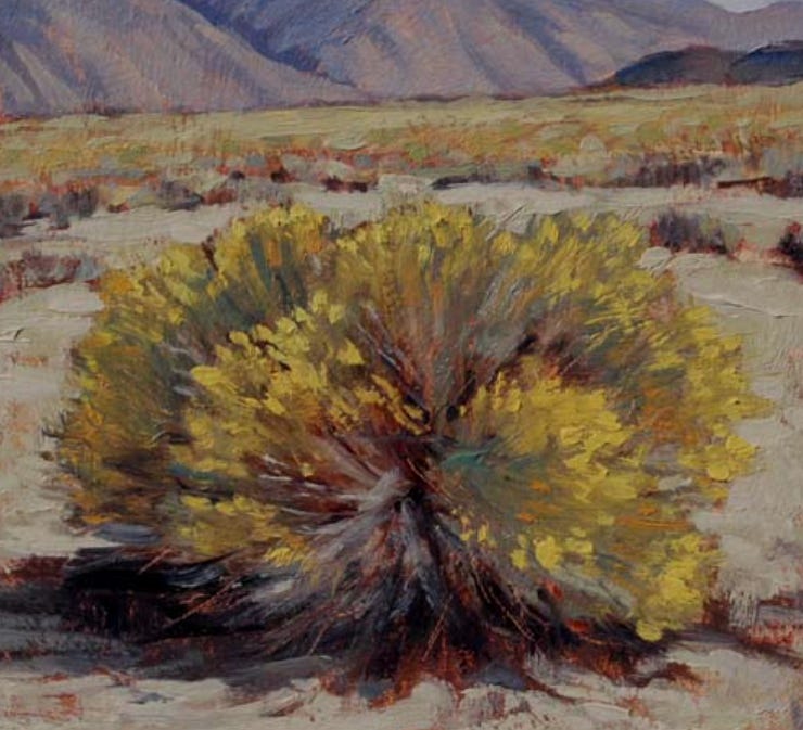 Rabbit and Rabbitbrush - by Jeff Takacs