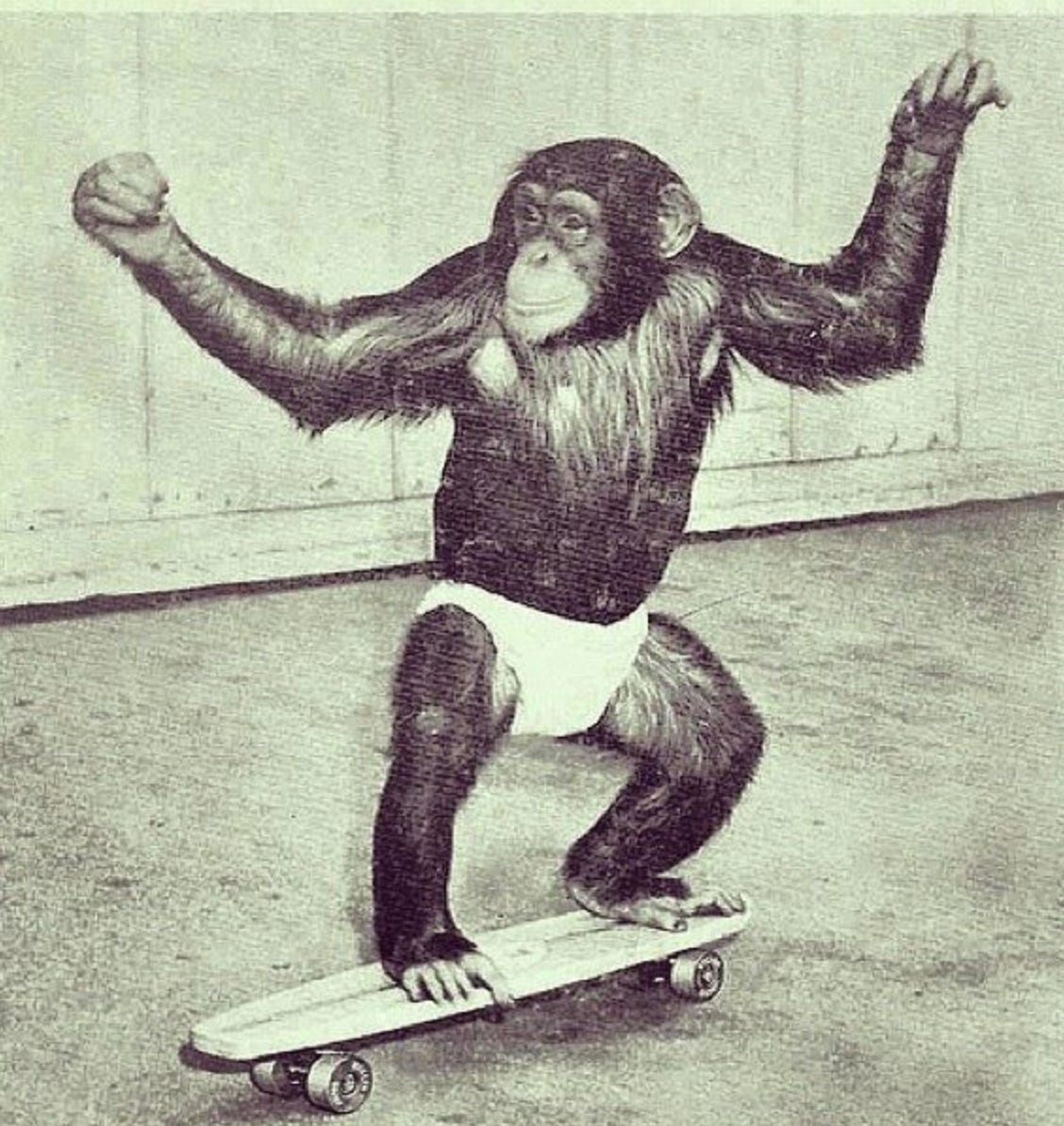 Heads Up: Mercury Is In POWERTHIRST Post-Cazimi During A Lunar Eclipse ...