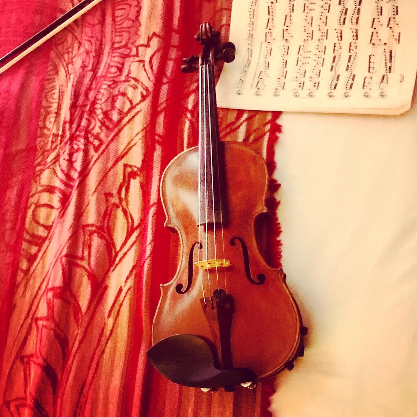 The Fiddle Riddle: Why Are Strads Worth Millions?
