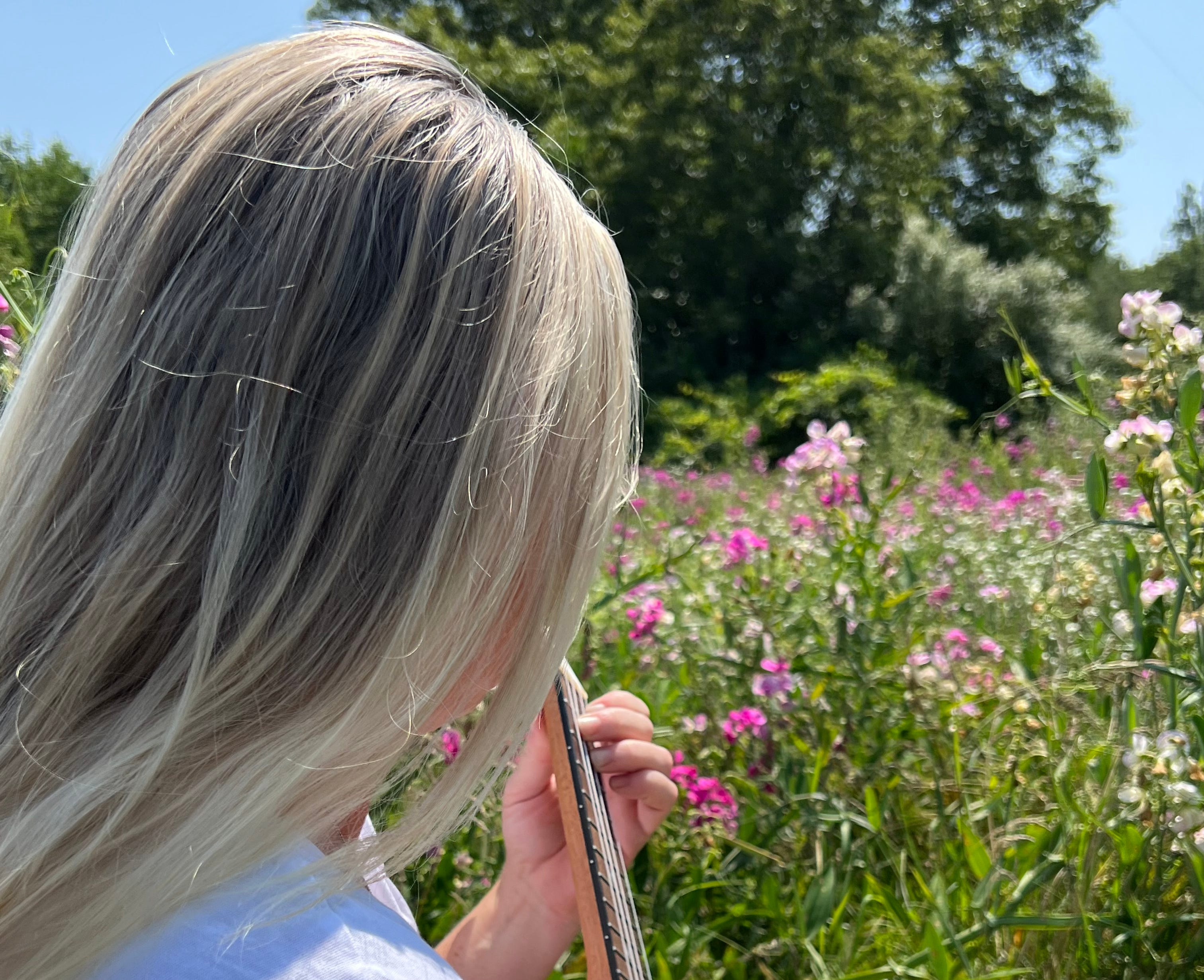 Erin Wehr | Substack