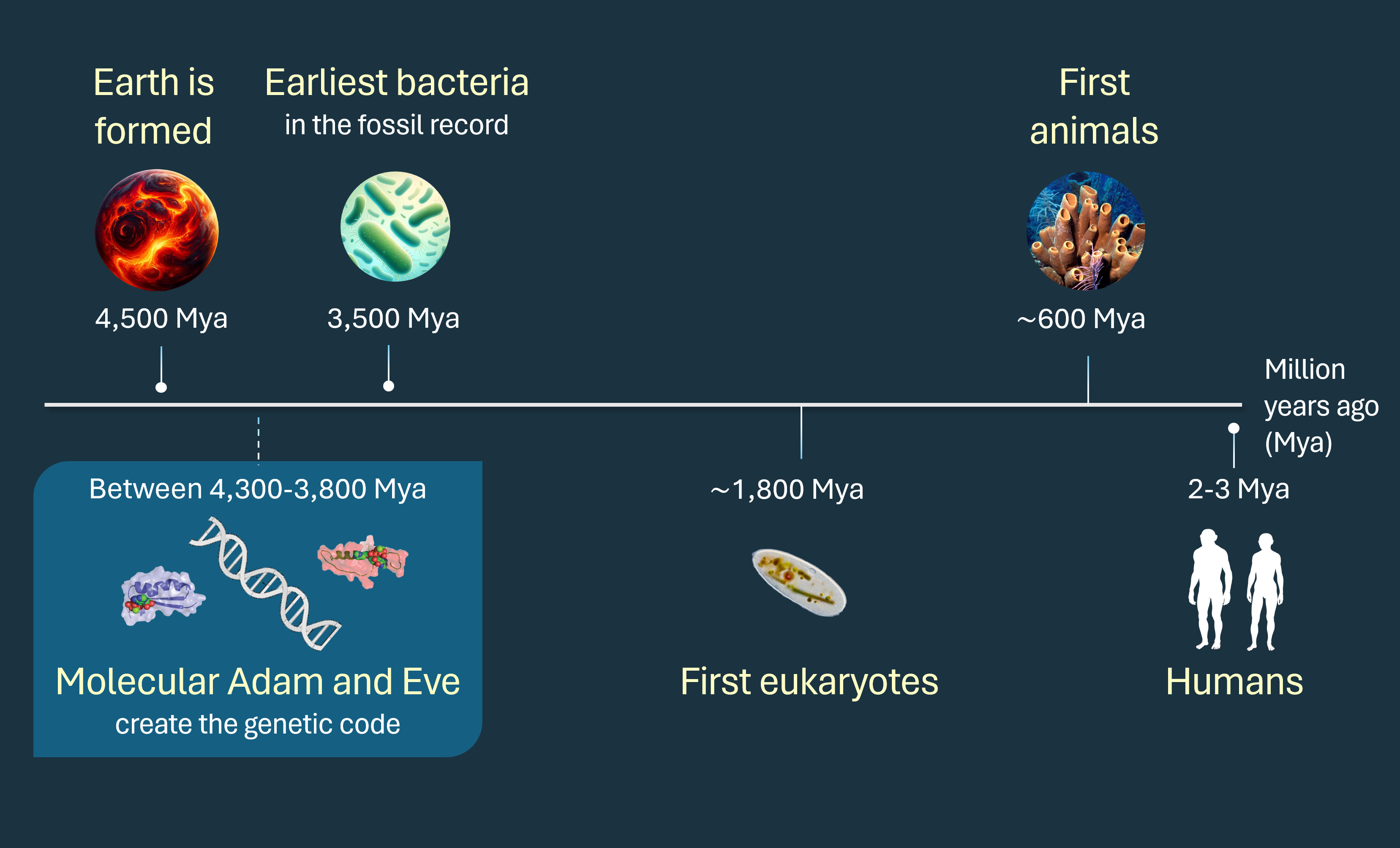 Adam and Eve Existed: They Created the Genetic Code