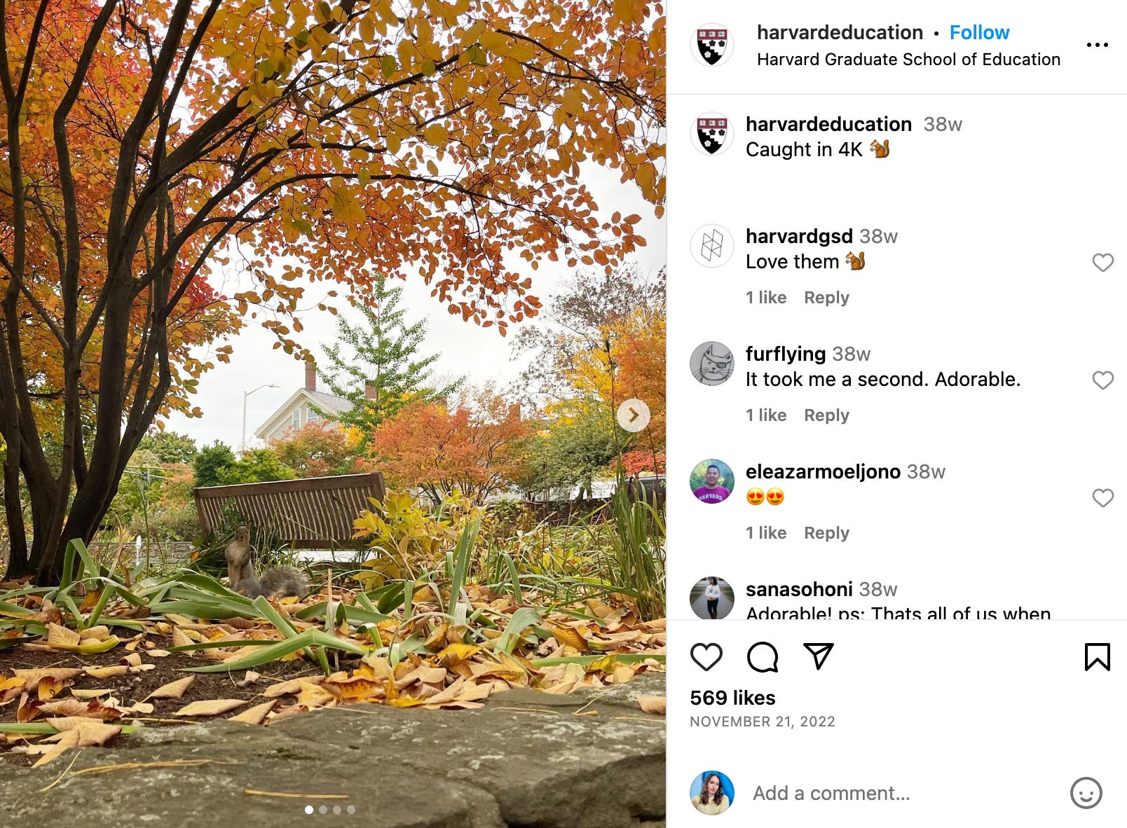 Best Practices Are Overrated - by Rachel Karten