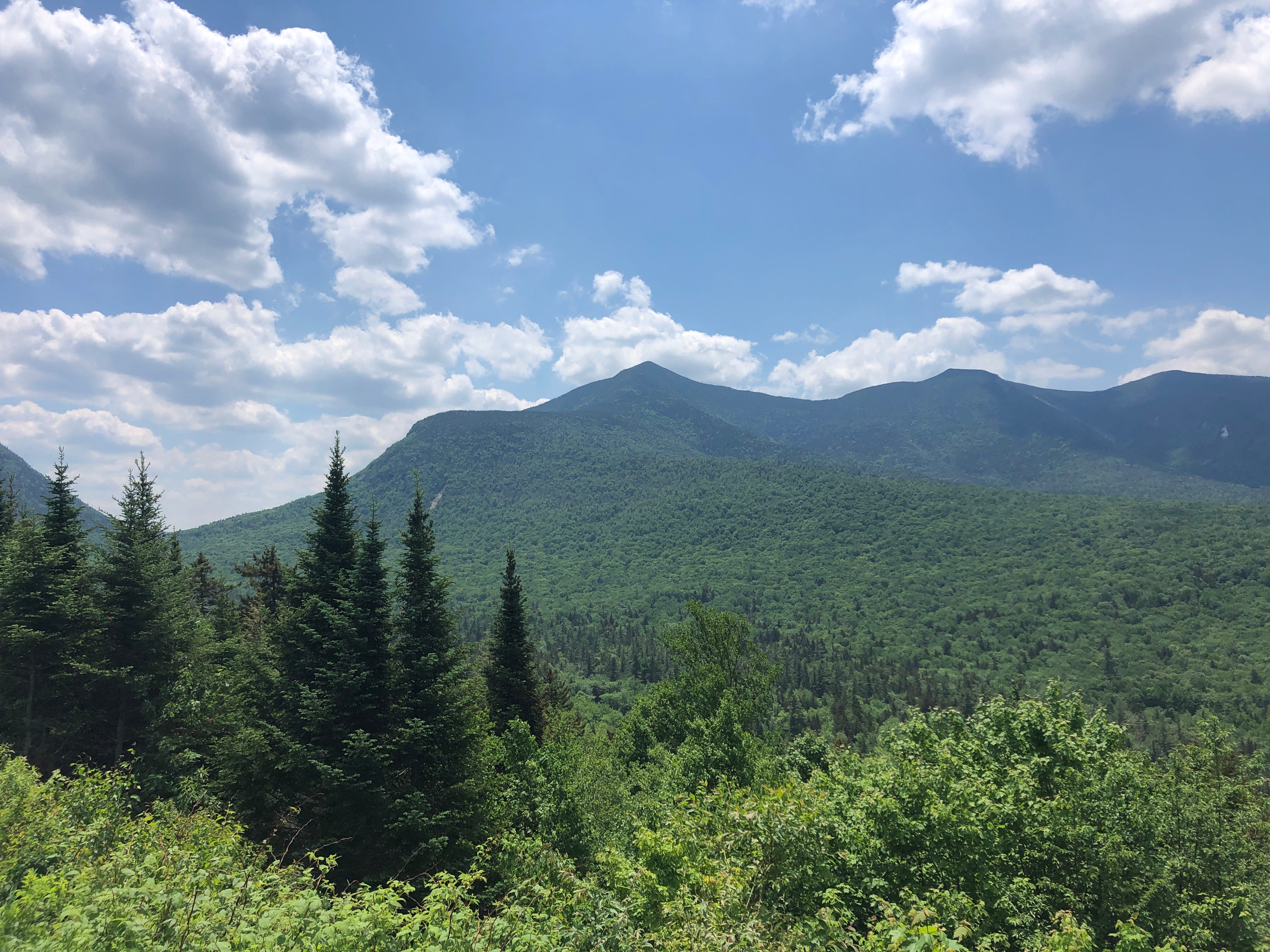 The Pain that Teaches - by Susan Meeker-Lowry