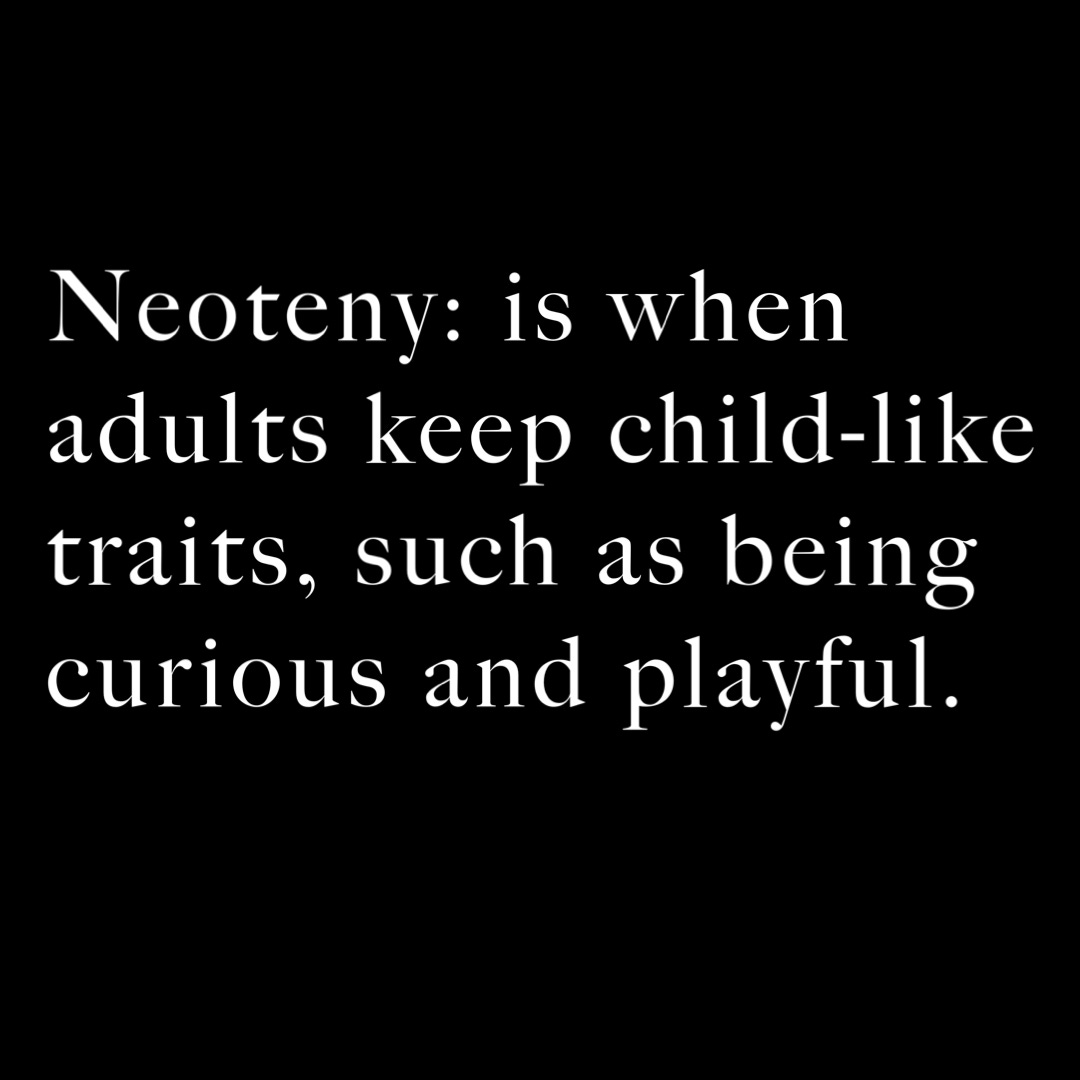 Neoteny: Genius Through Childlike Eyes - The Daily Spark