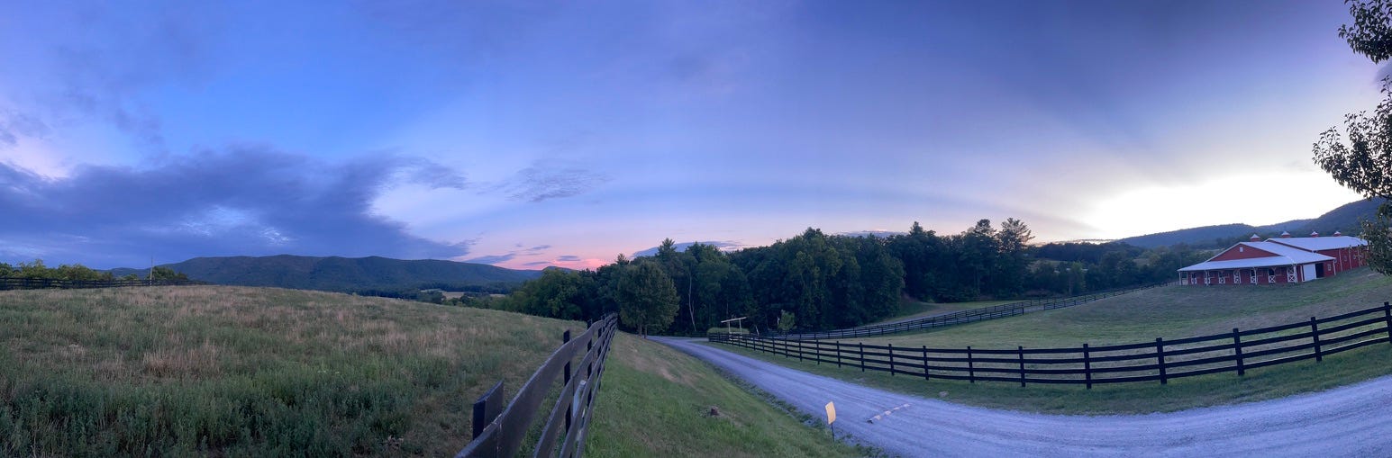 The Road Strangely Taken - by Jane Ehrenfeld