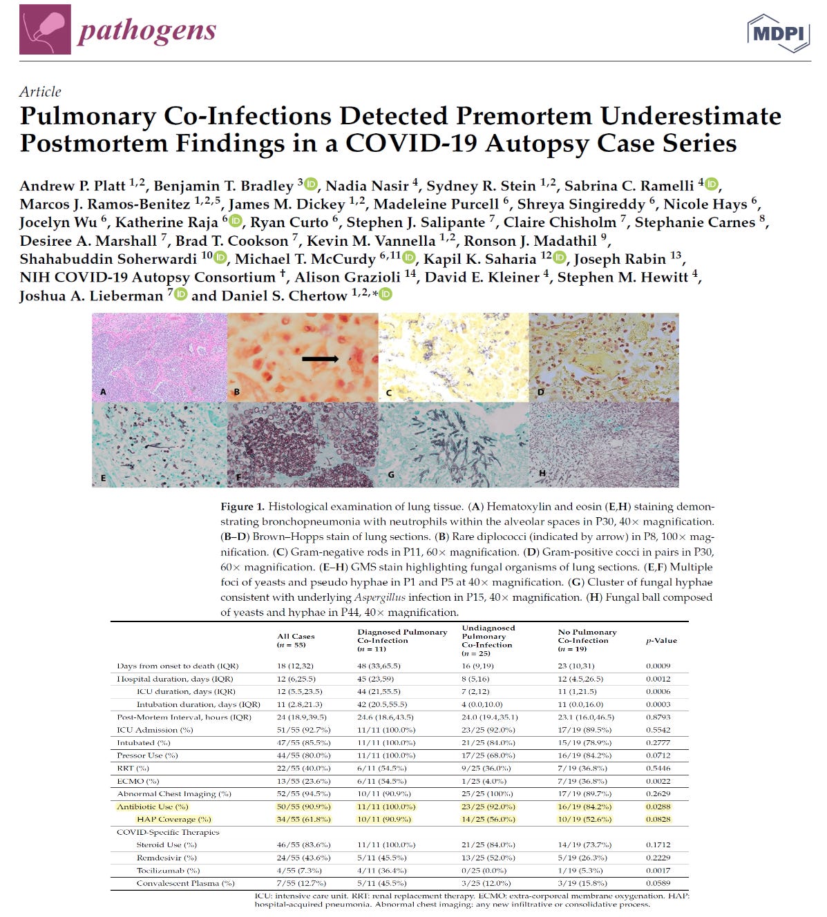 Secondary Bacterial Pneumonia Common in Fatal SARS-CoV-2 Infections