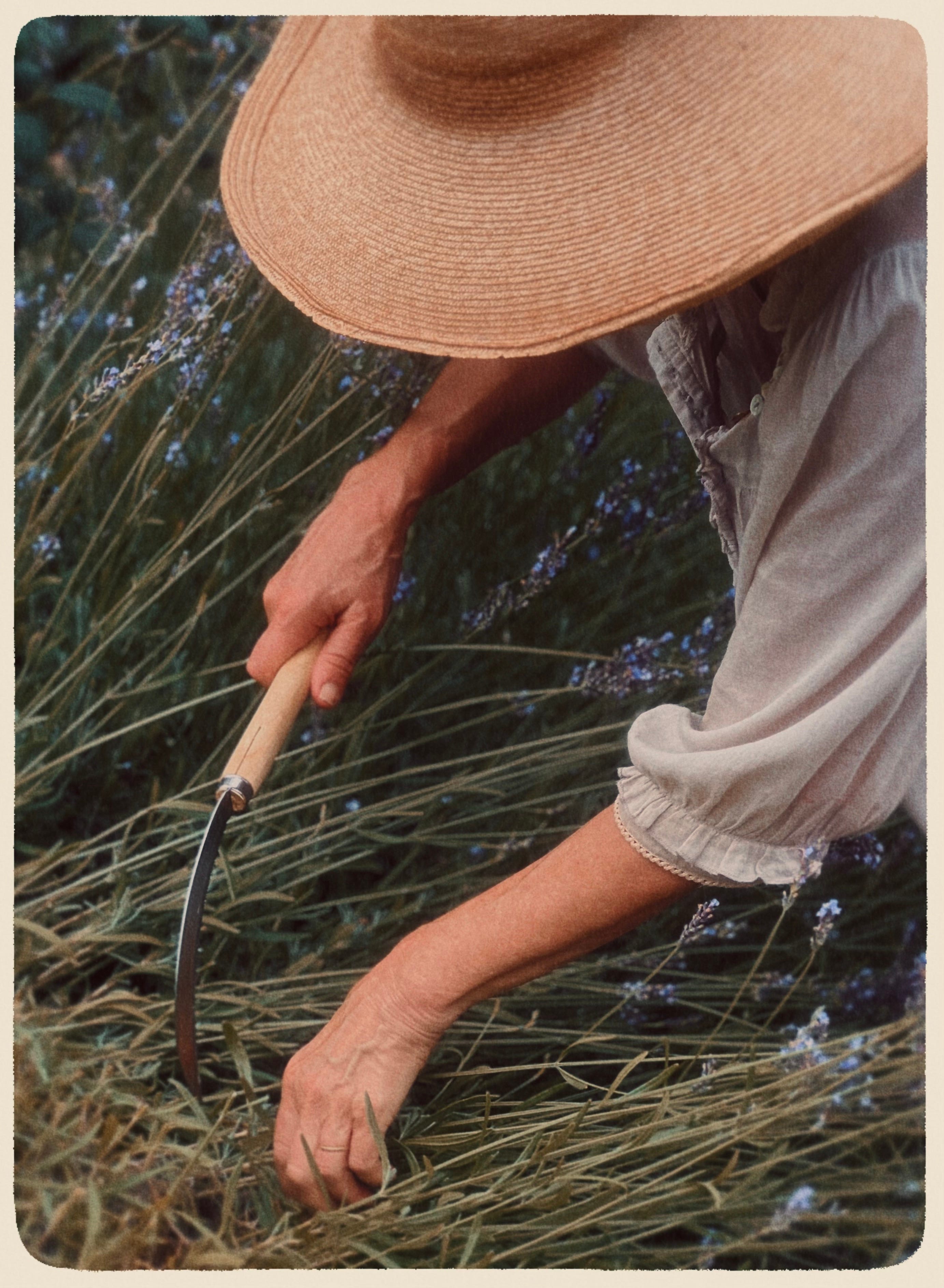 Mickey Robertson | Substack