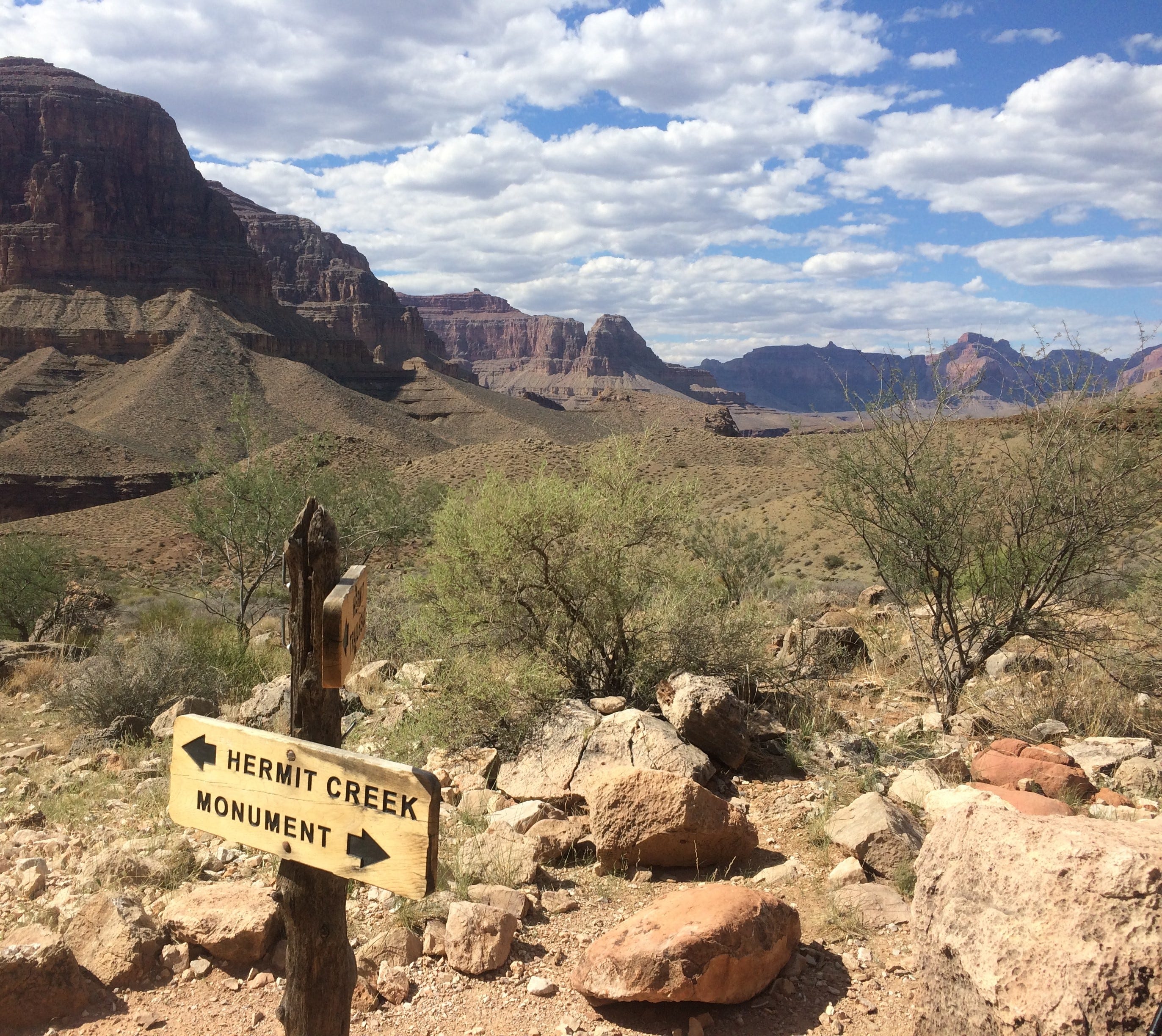 Project 2025 and Public Lands - by Dave Van Manen