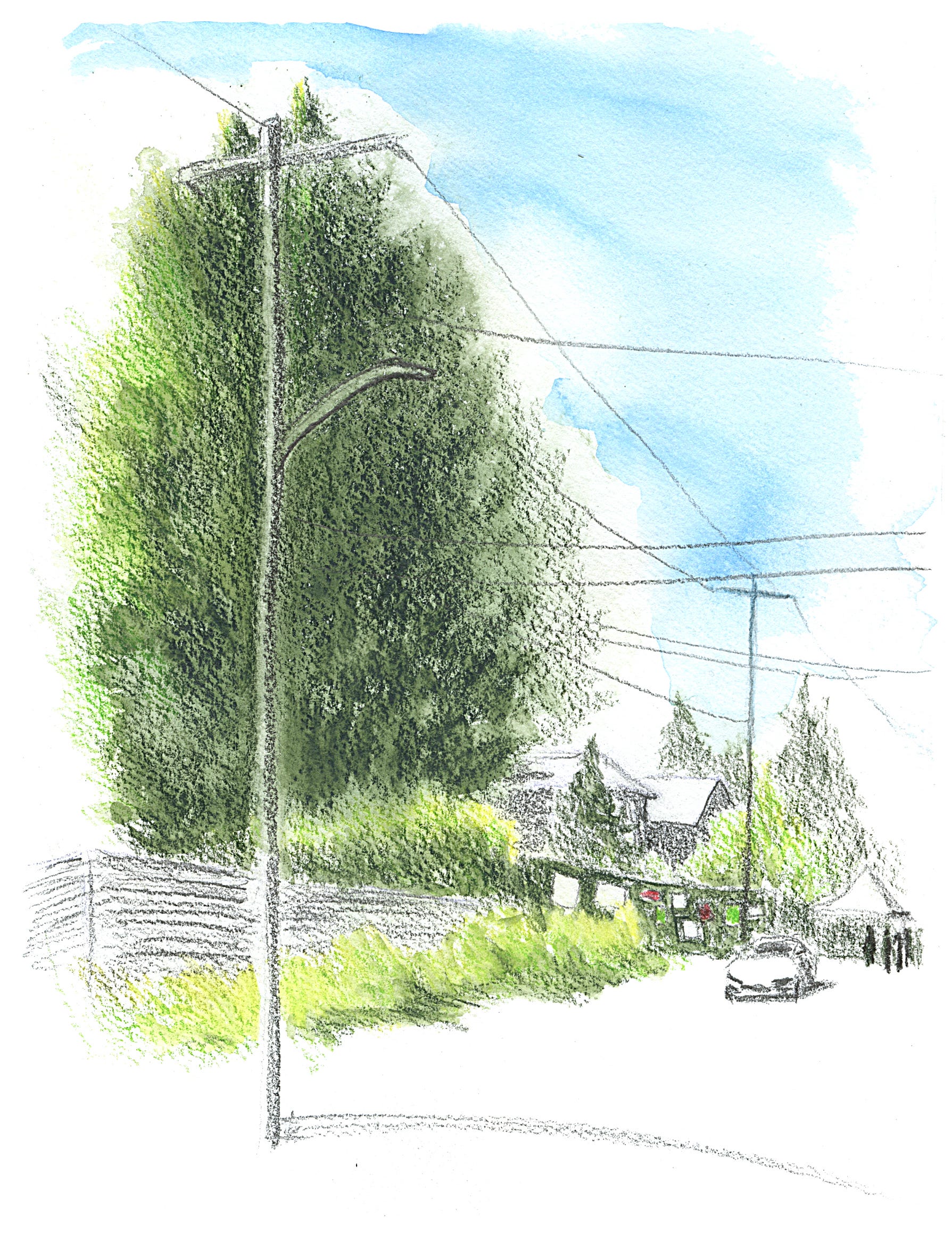 Saving Luma - by Tina Koyama - On the Spot