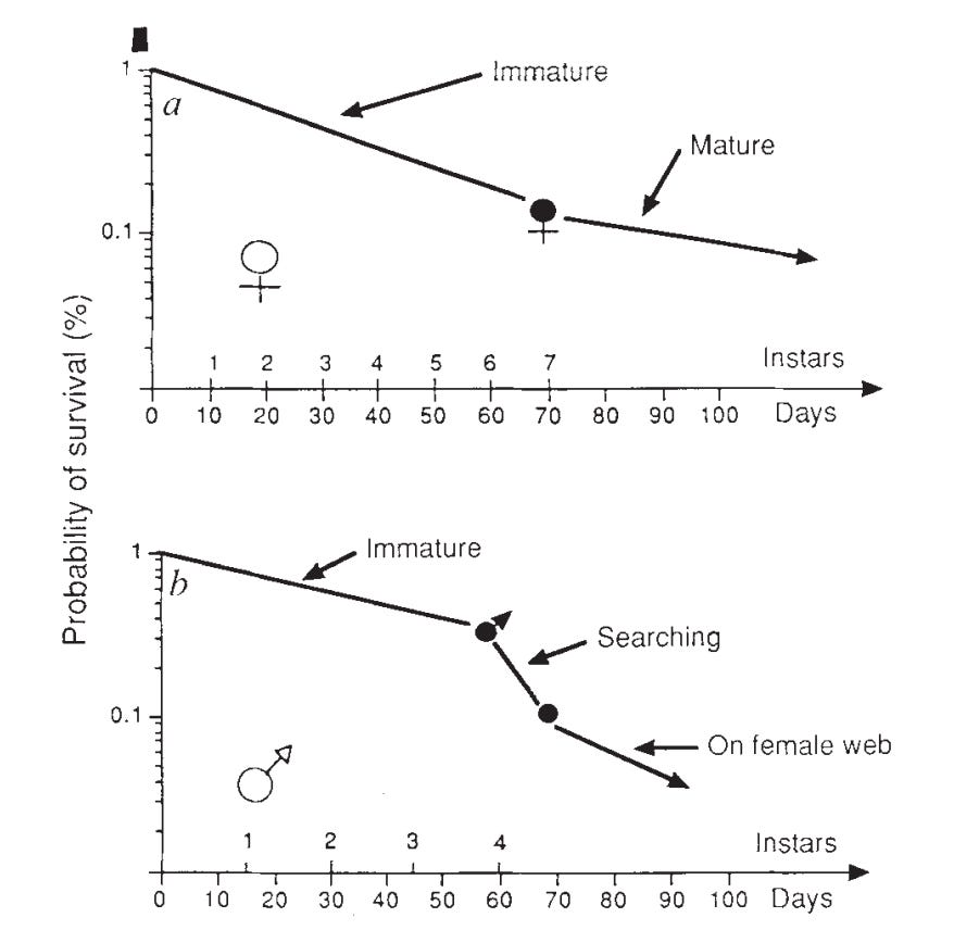 The Hidden Patterns Of Sexual Evolution By Tomas Pueyo