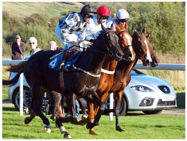 Elith Machine Learning Weekly: Issue #6 - by Elith, Inc.