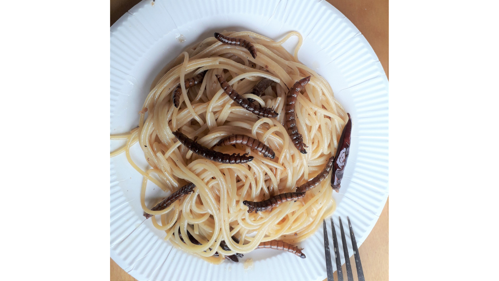 🎧 Insects on the Menu - by Cassandra Quave