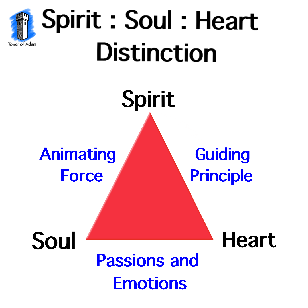 What is a Human? Part 3 The Spirit - by Alexander d’Albini