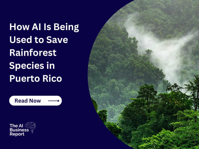 How AI Is Being Used to Save Rainforest Species in Puerto Rico