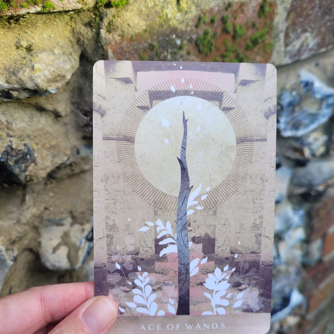 Tarot and the ace of wands - by Claire Amritavani Brown