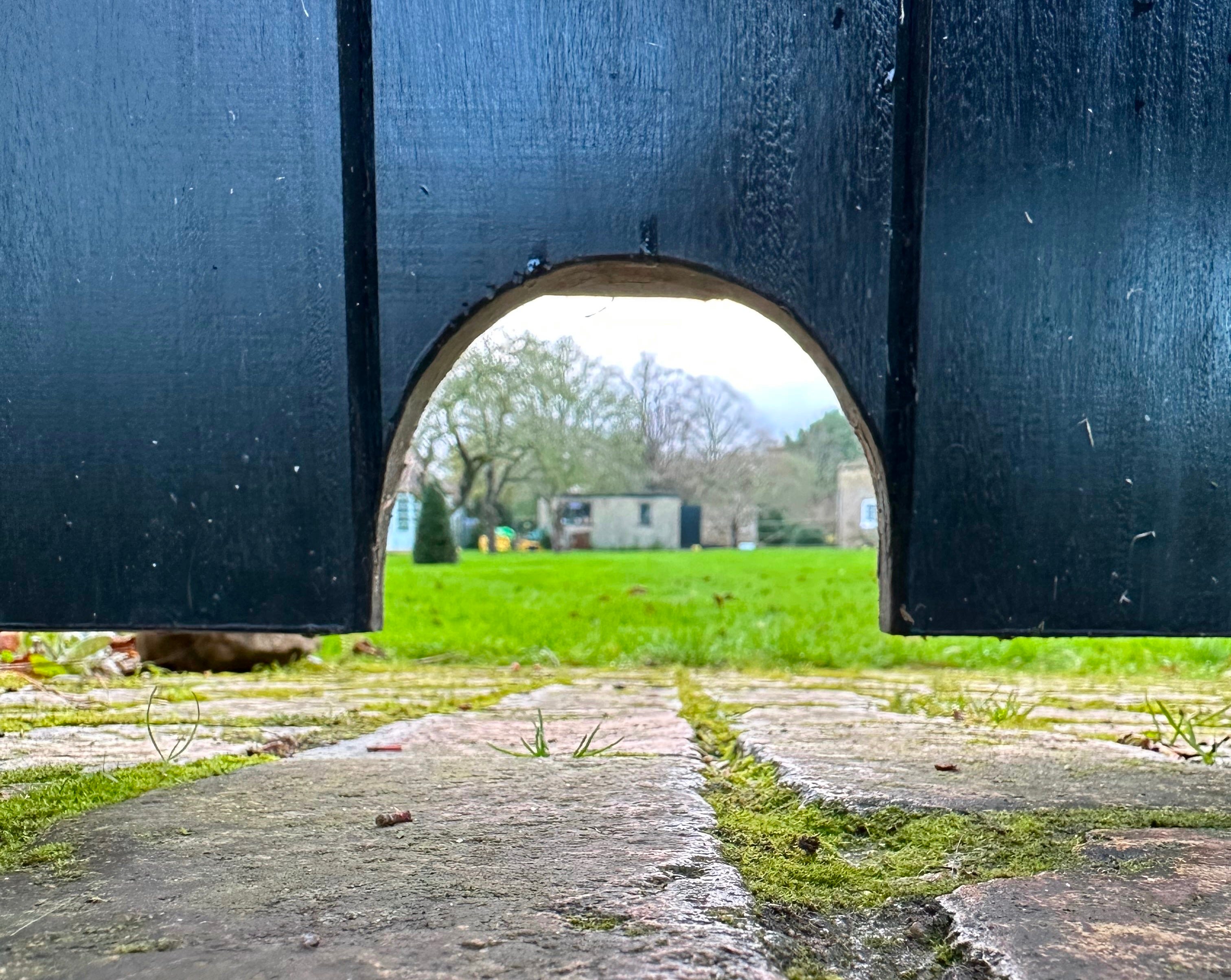 More Progress! - by Hugh Warwick - Hugh’s Substack