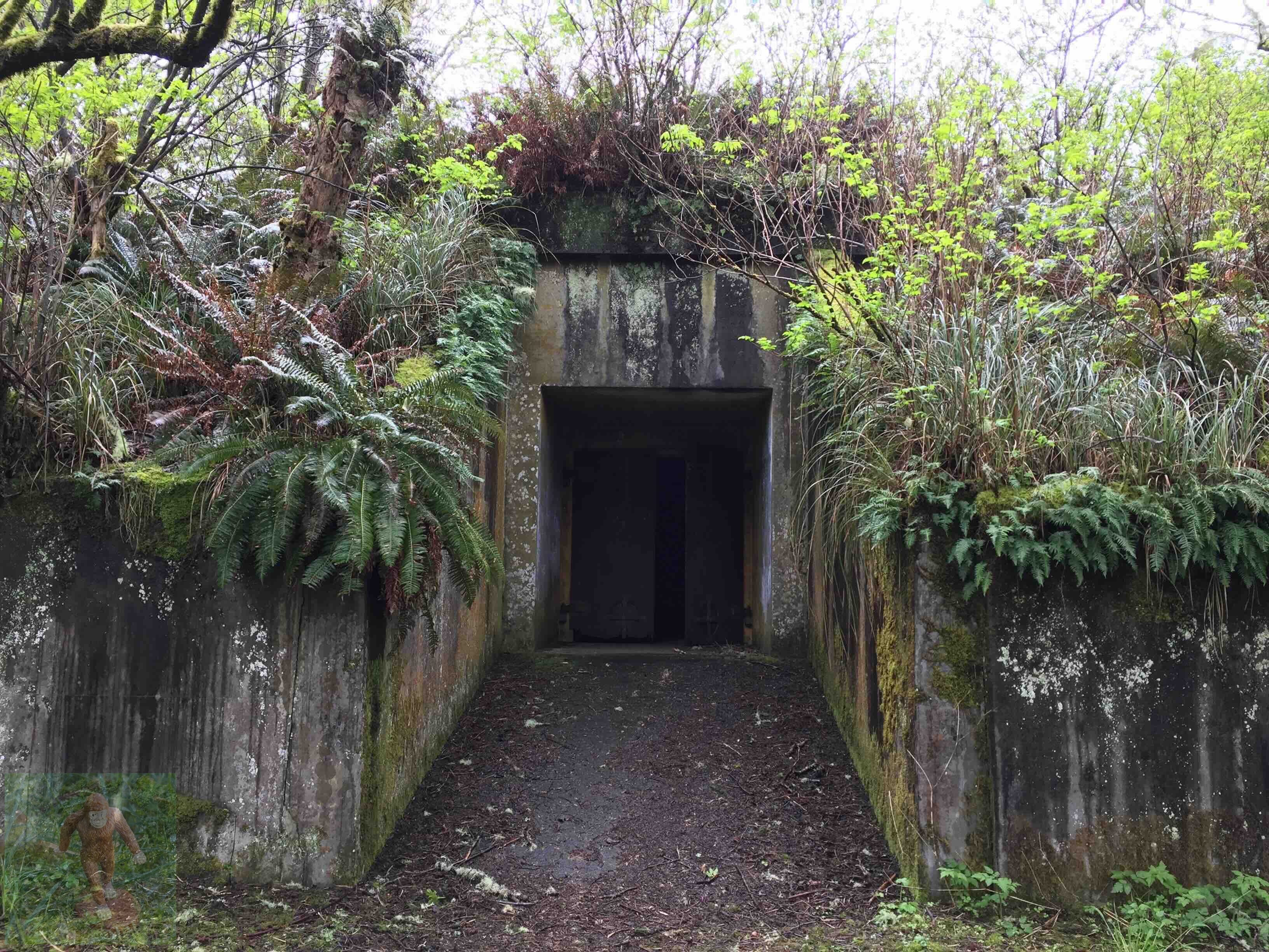 The Spookiest Spot in Washington? - by Christine Finlayson