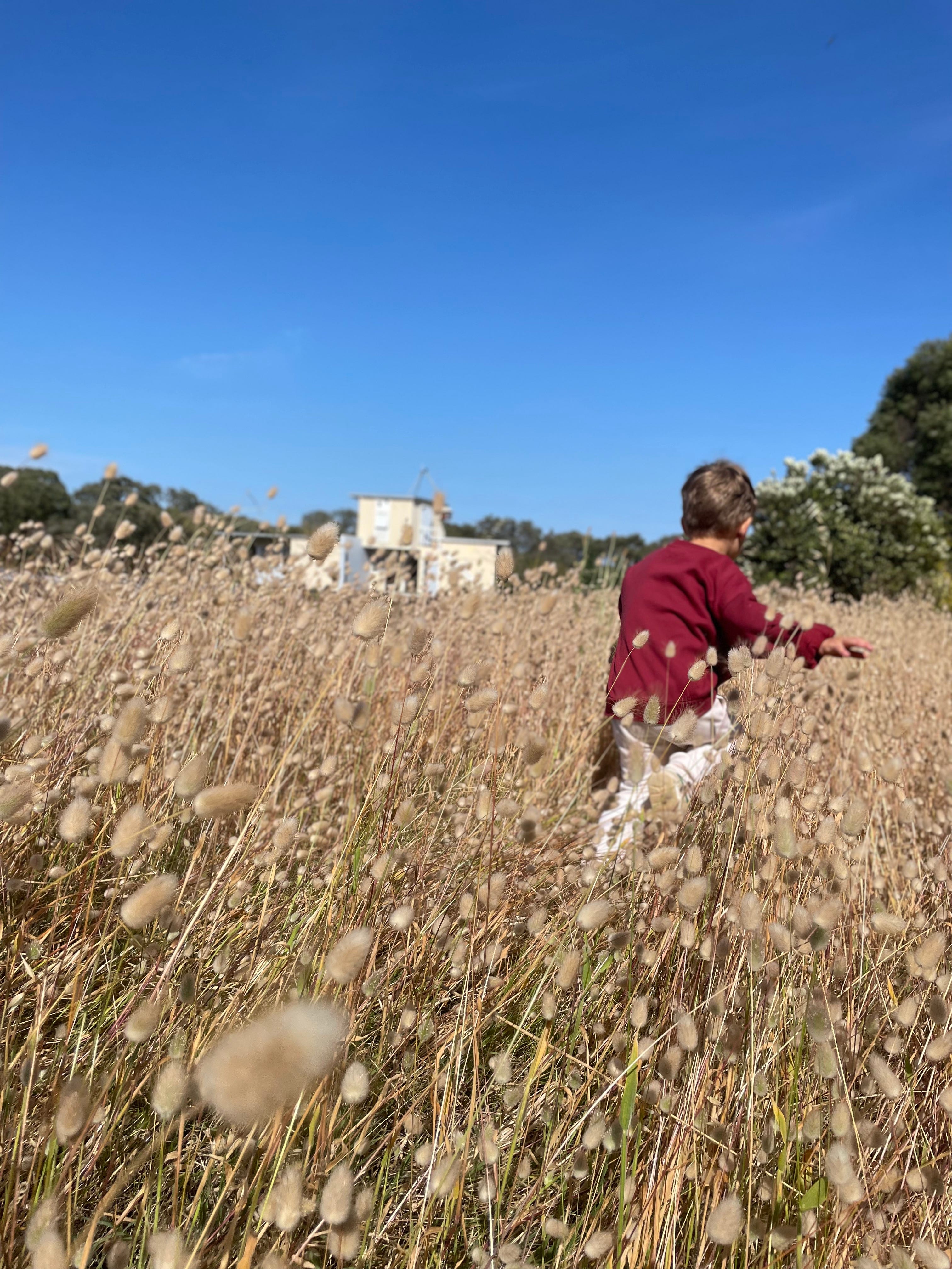 My Putzing Era - Kiri Masters