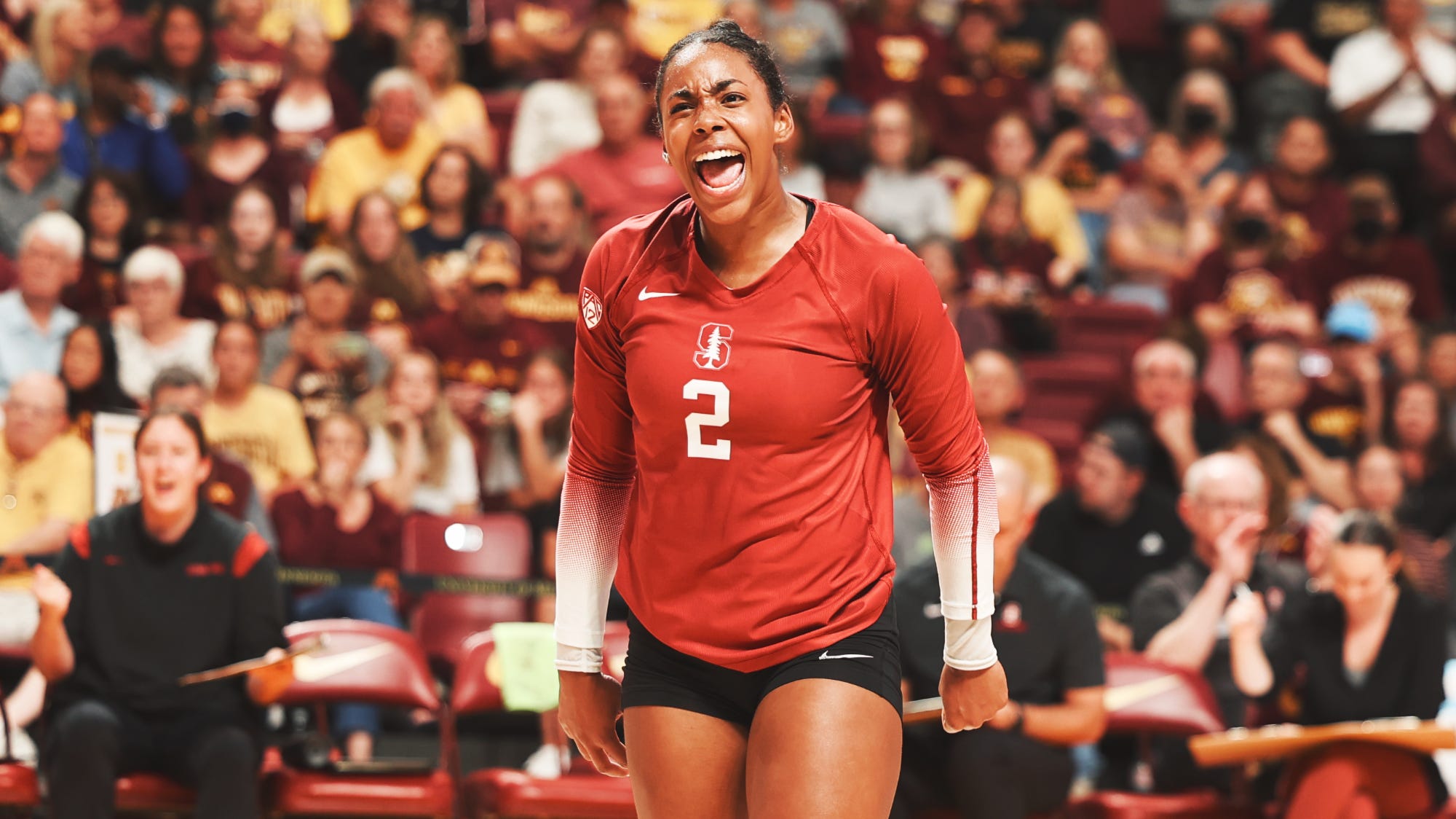 NCAA Top 50 Volleyball Players To Watch In 2024