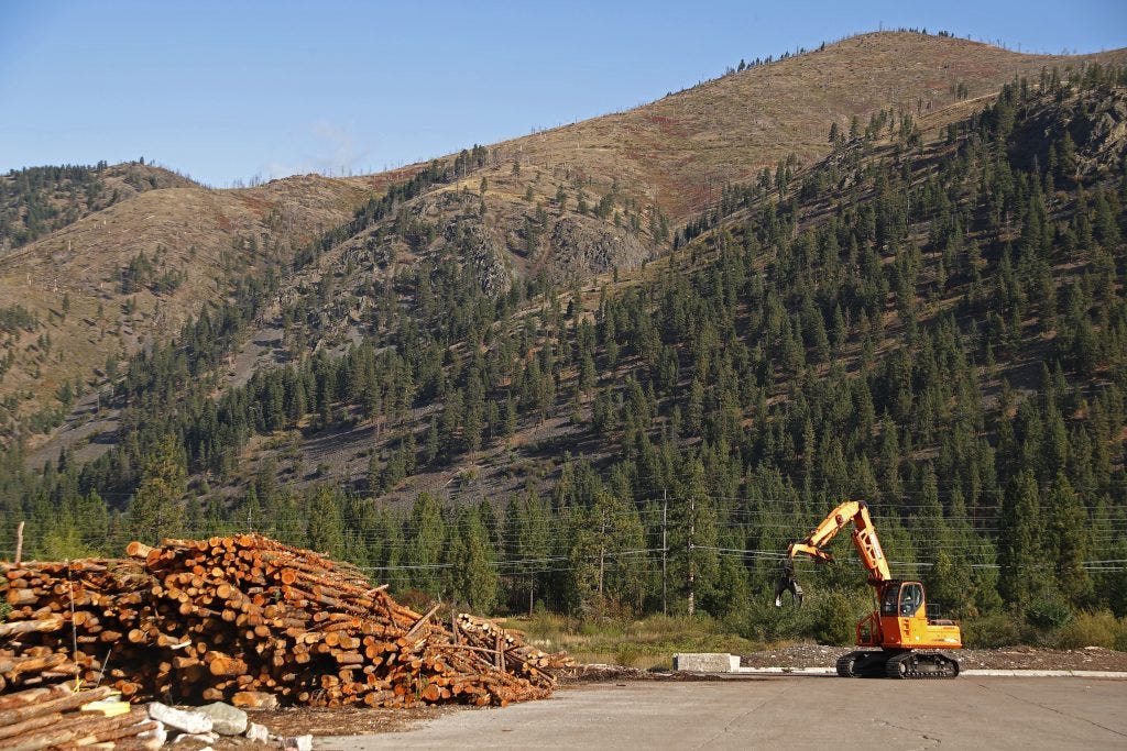 Community Leaders: Pyramid Mill Closure in Seeley Lake ‘Devastating ...