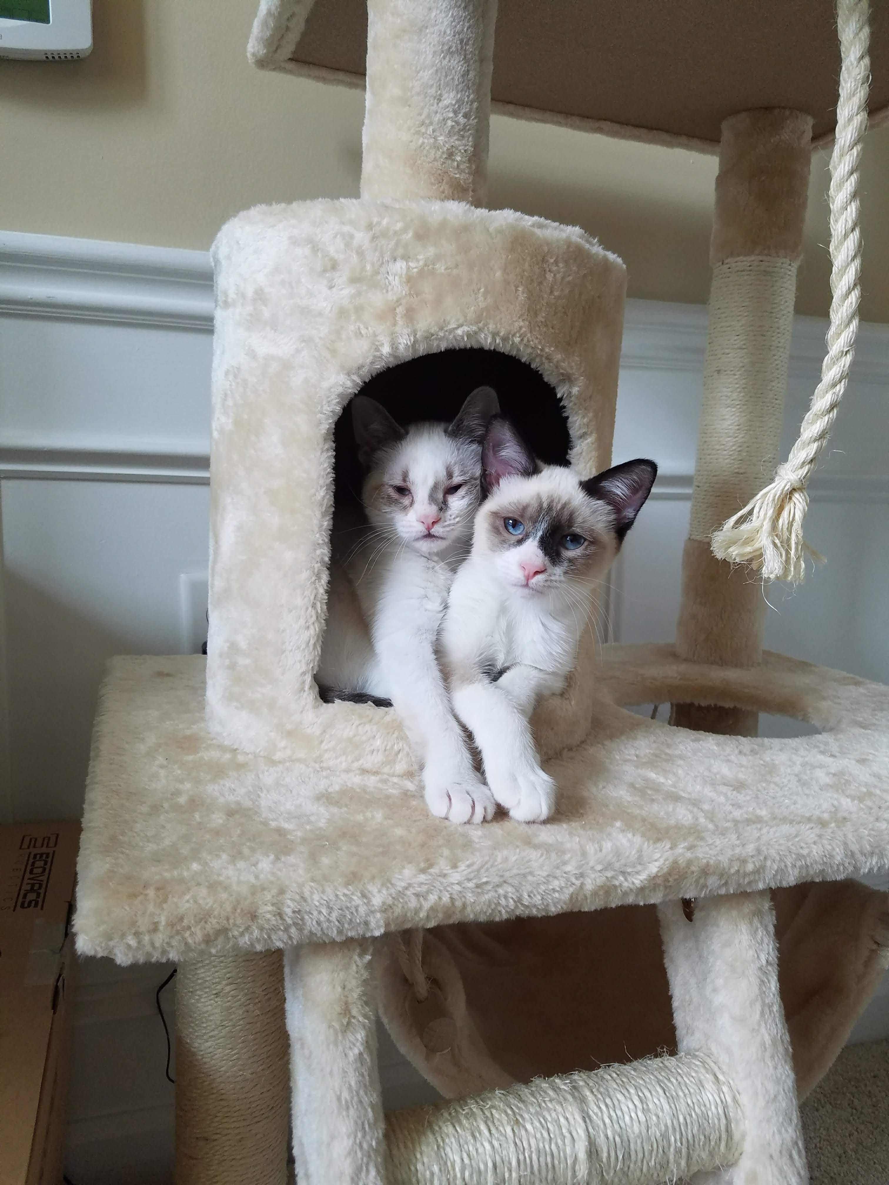 The hidden toll of climate disasters - by Arielle Samuelson