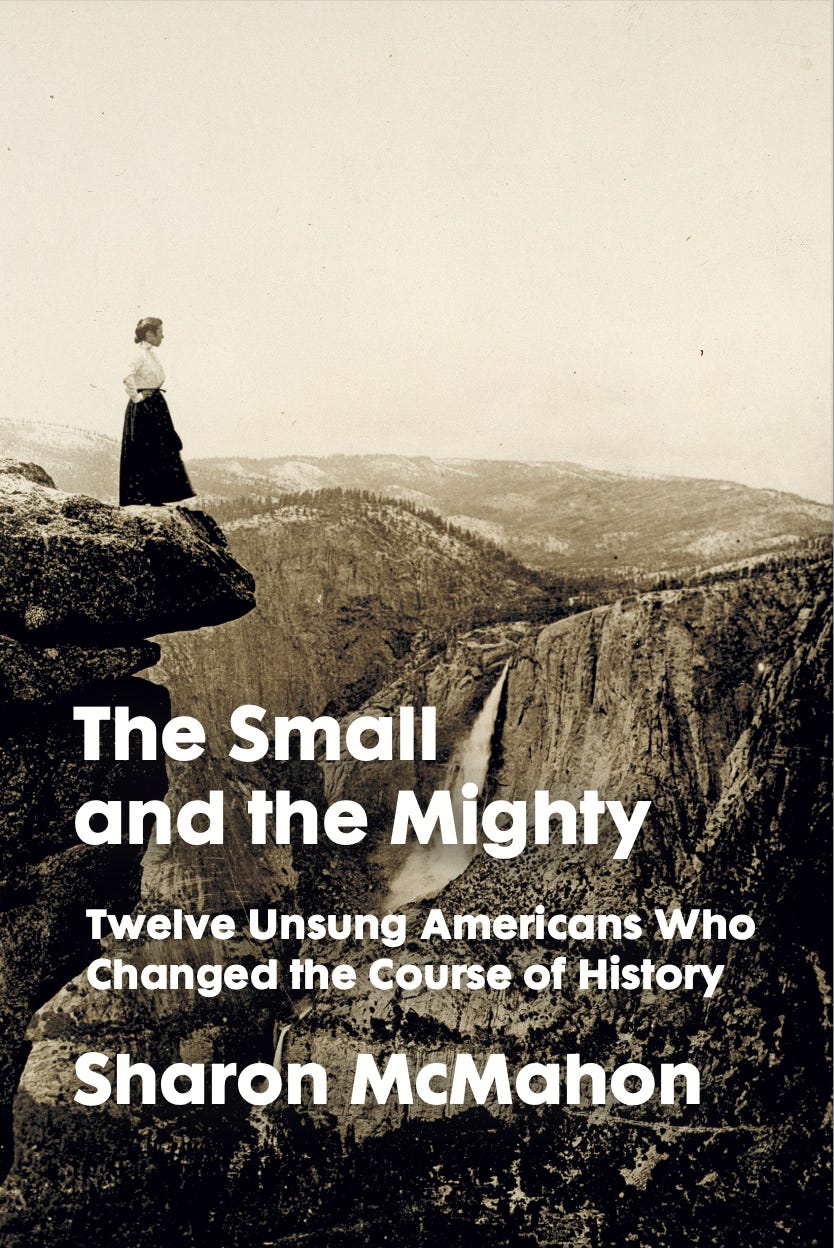 My Rejected Book Covers - by Sharon McMahon - The Preamble