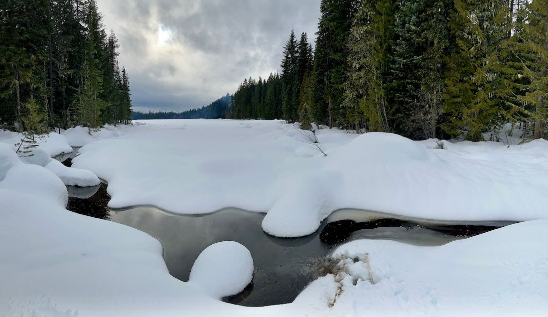 Grownup sleepovers - by Asha Dornfest - Parent of Adults