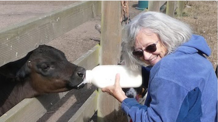 Connie Korbel-Mickey | Substack