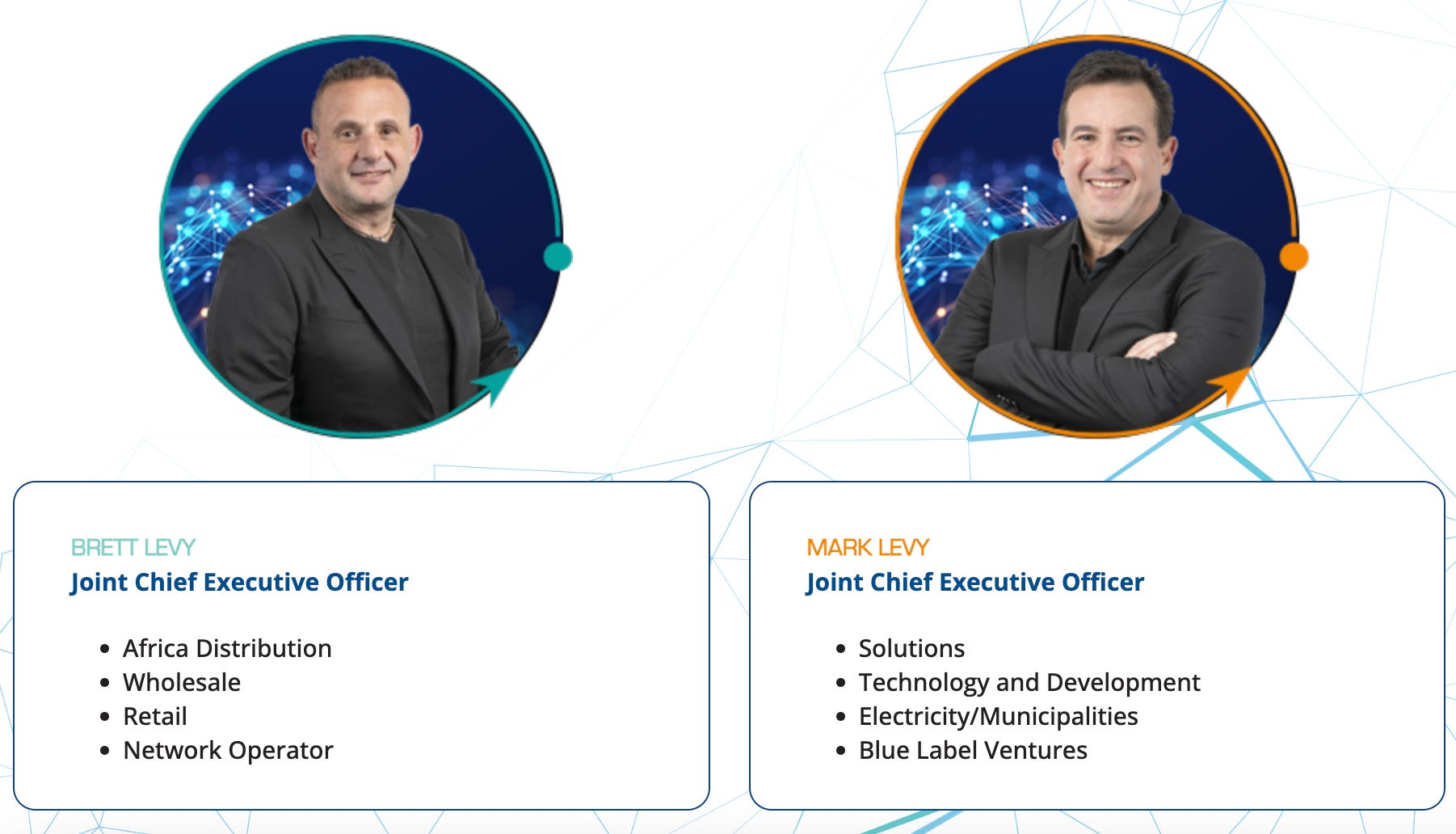 BLUE LABEL TELECOMS- DEEP DIVE AND ANALYSIS