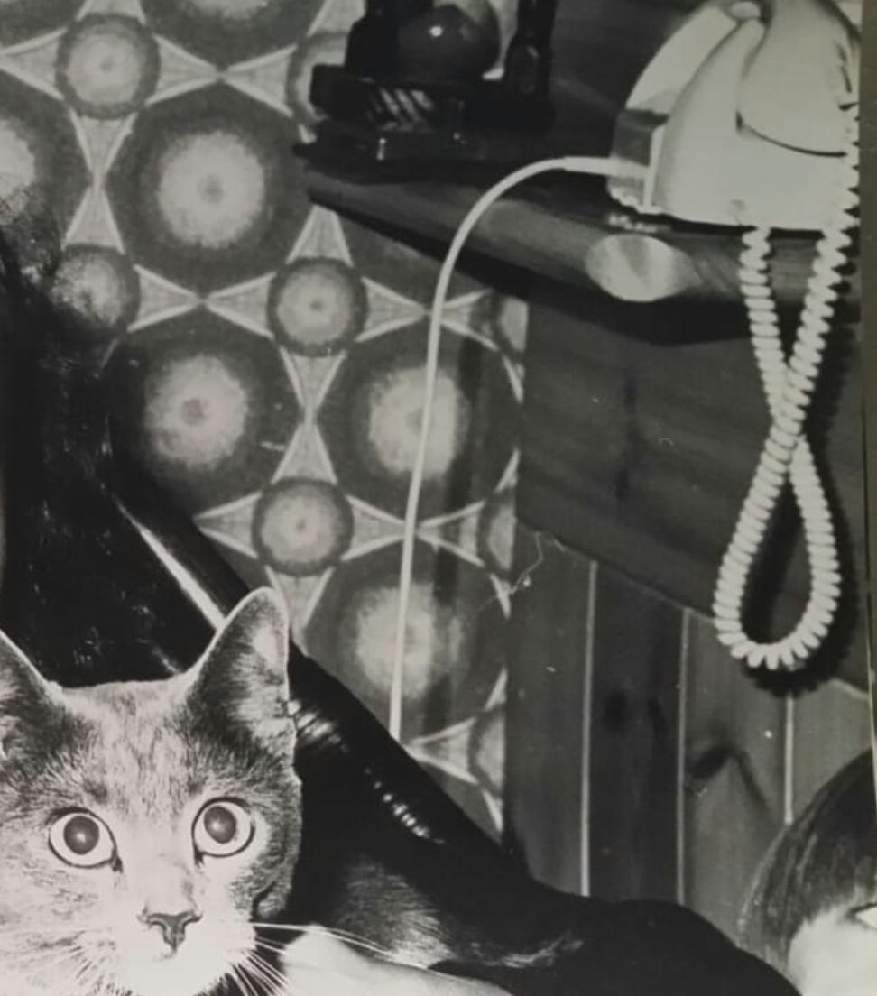 A house is a home - by Amber Schoop - Amber’s Hope