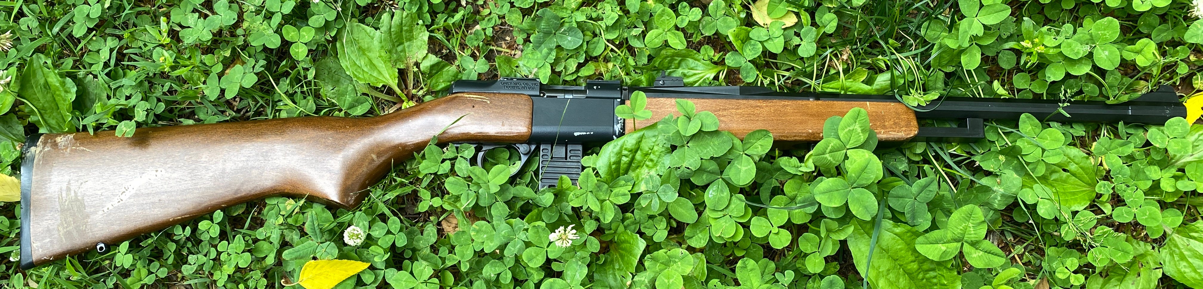 The Essential Guns: .22 Rifle - by Josh Centers