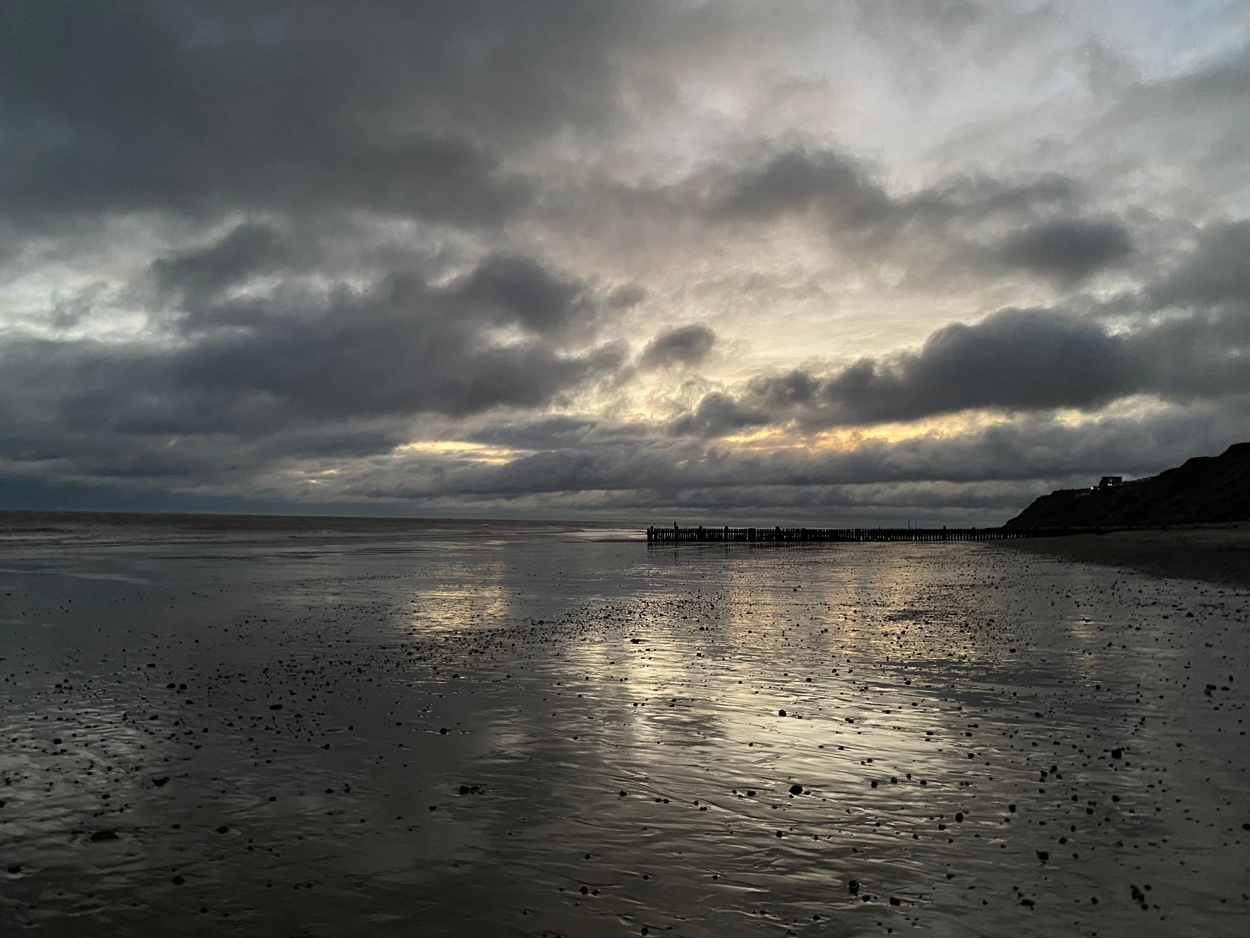 Bringing New Water - by Imogen Ashwin - Bracken & Wrack