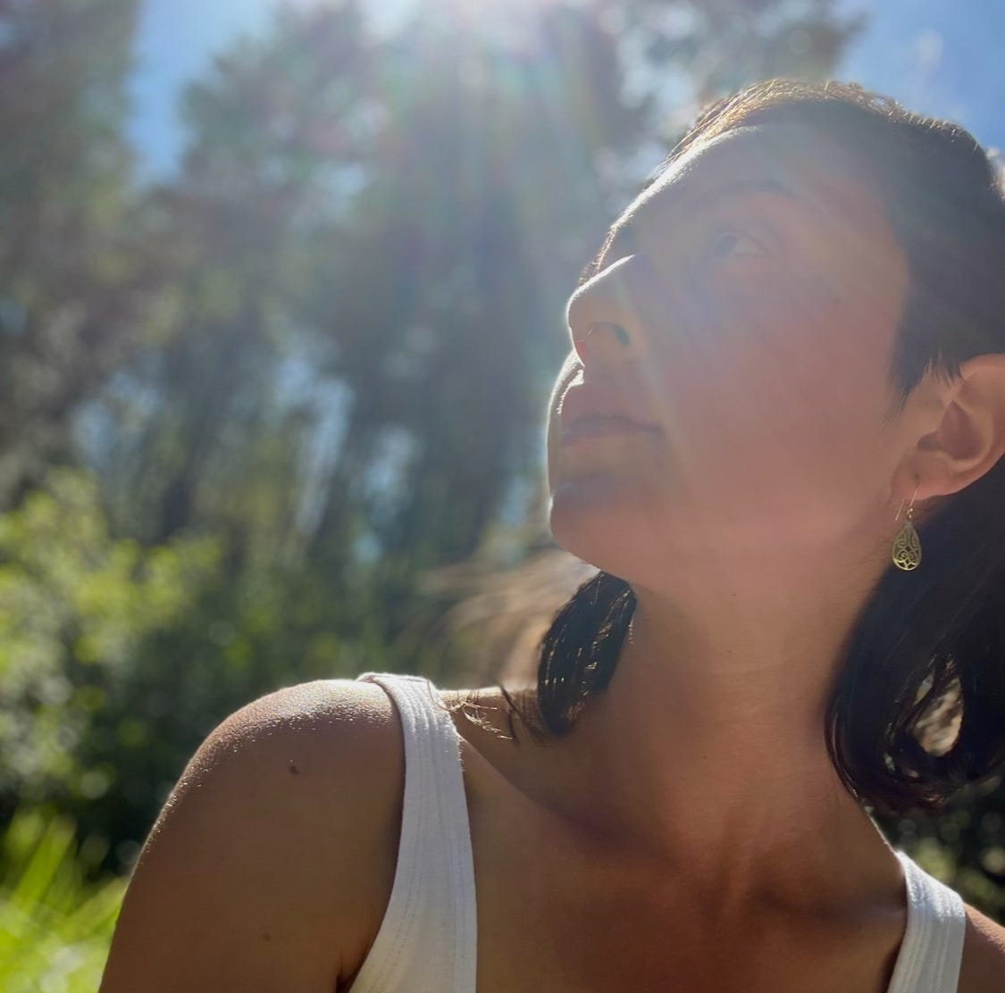 Phoenix Glass | Substack