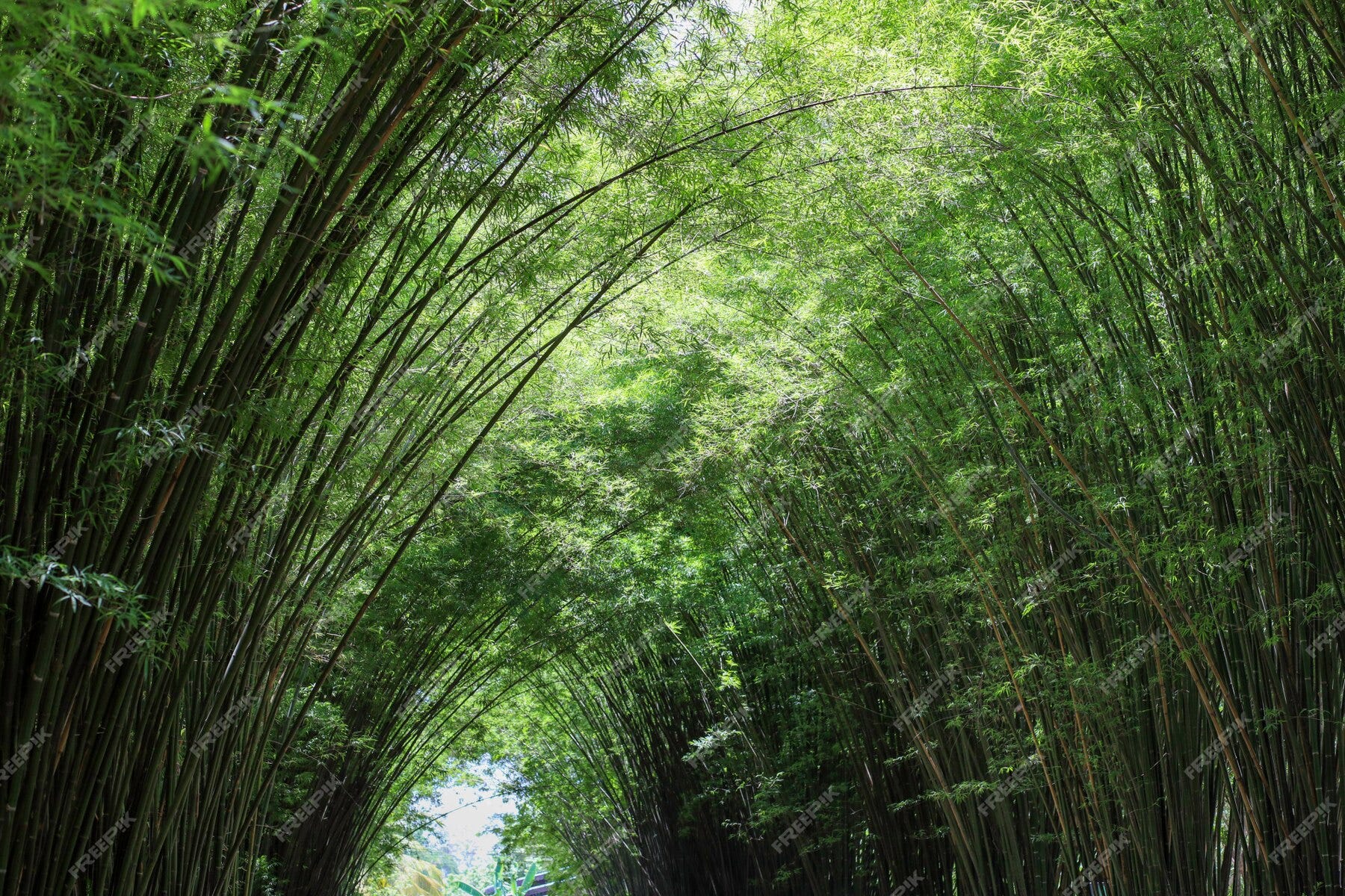 Imagination, the bedrock of friendship - by Mukta Naik