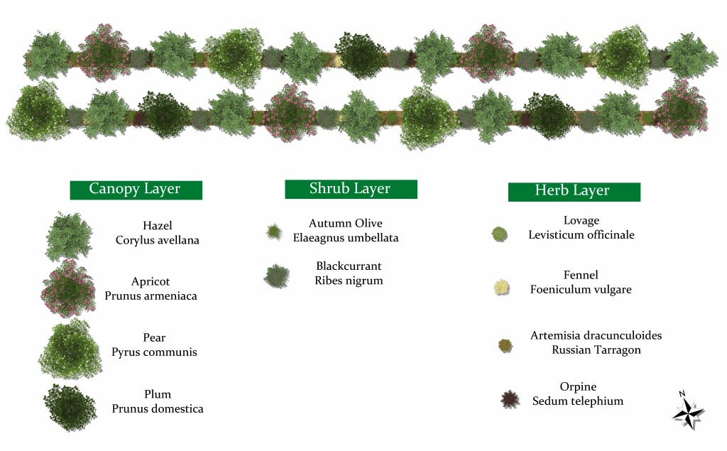 Balkan Ecology Project