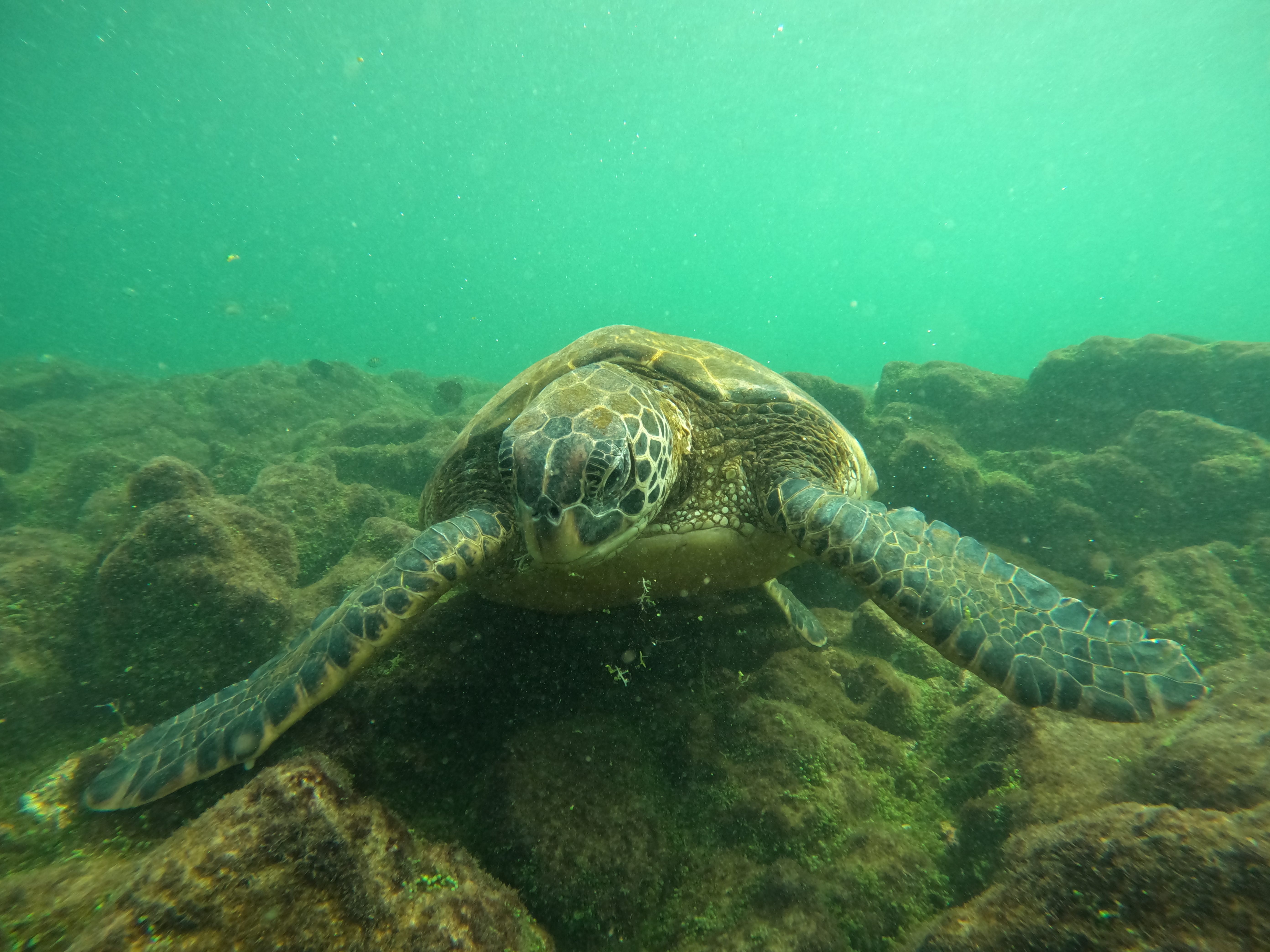 The End? - by Adam Dean - Adam’s Substack