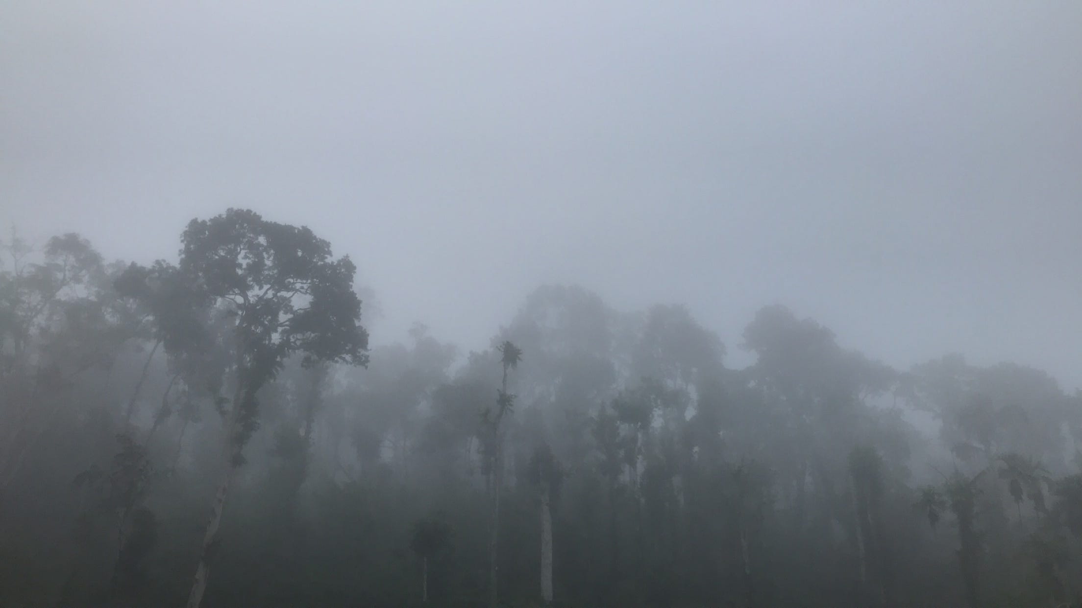 Coorg: Chapter Madikeri - by Vikra Vardhan - Vikra’s Café