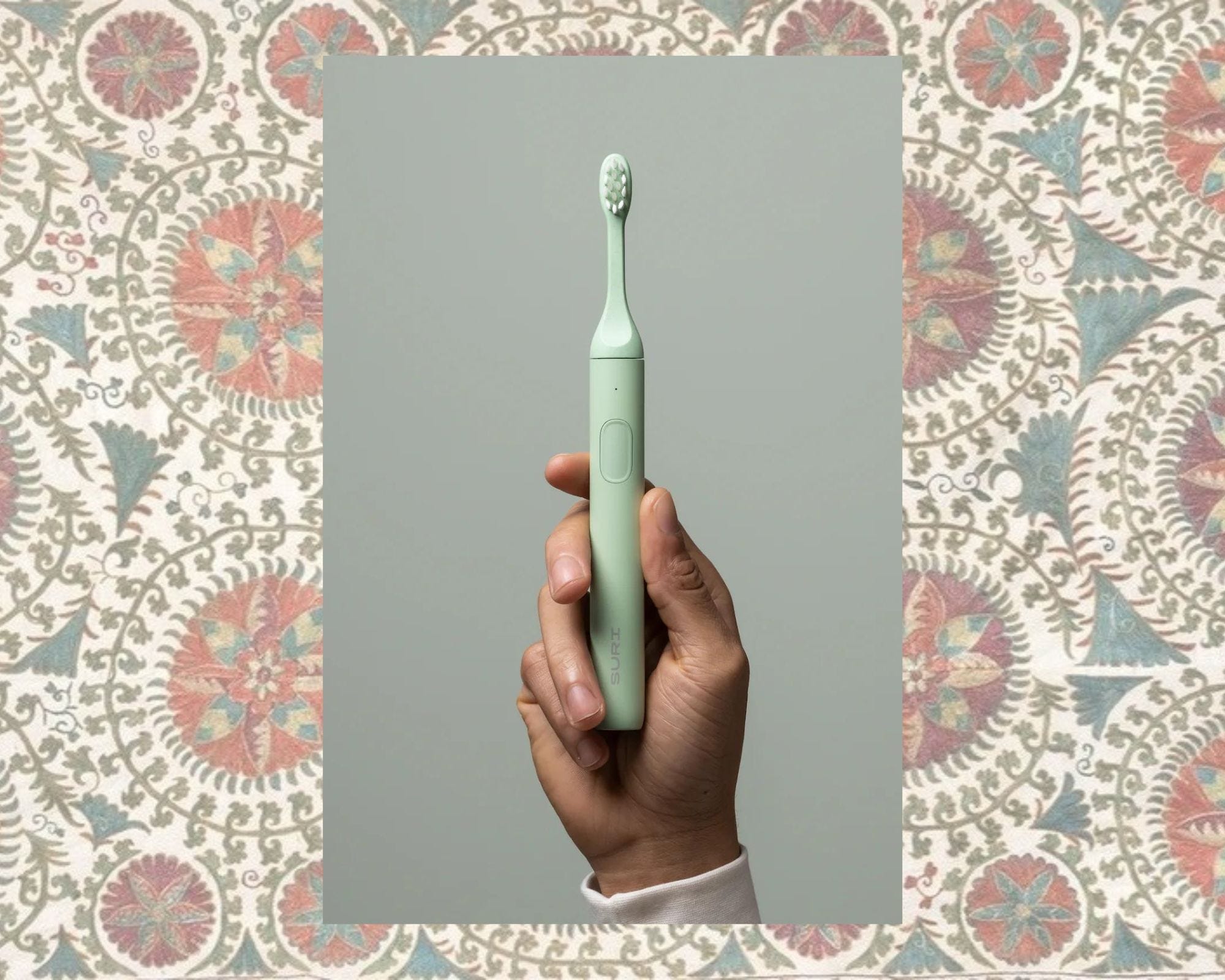 An Austrian Impressionist, how we end US poverty, and a great toothbrush