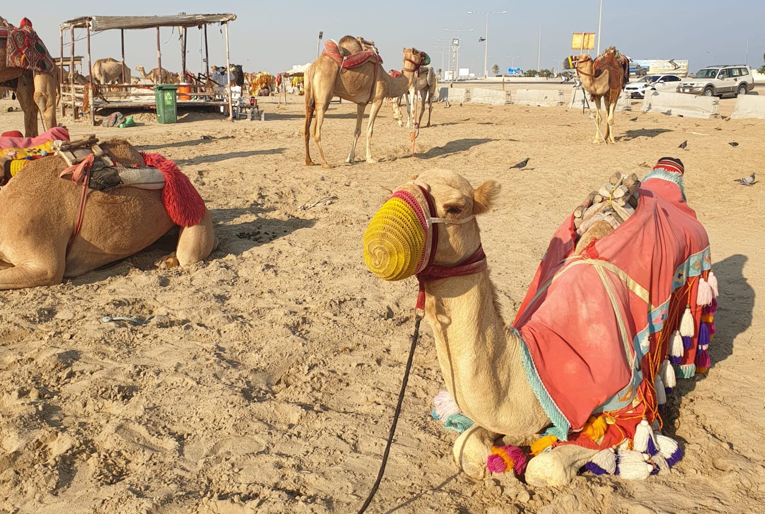 Escape to Sealine Beach: The Perfect Destination for Relaxation and ...