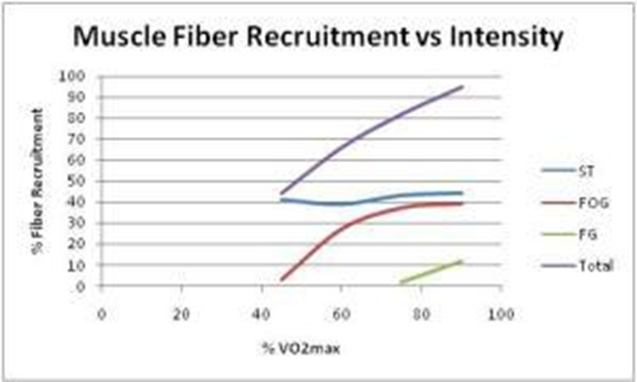 Chapter 6: Everything you need to know about Training Zones