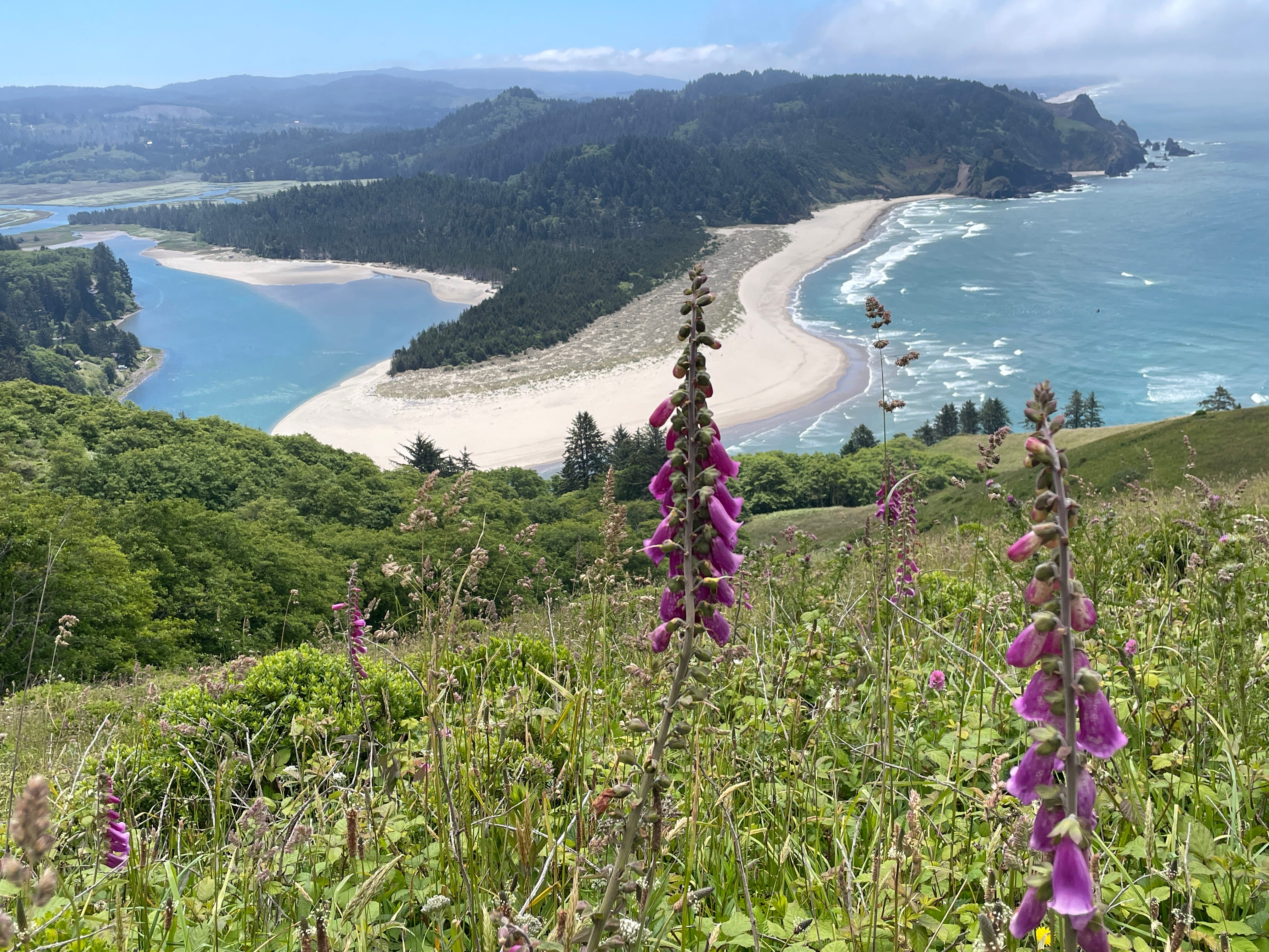 Sweating on stage - by Dakota Gale - Traipsing About