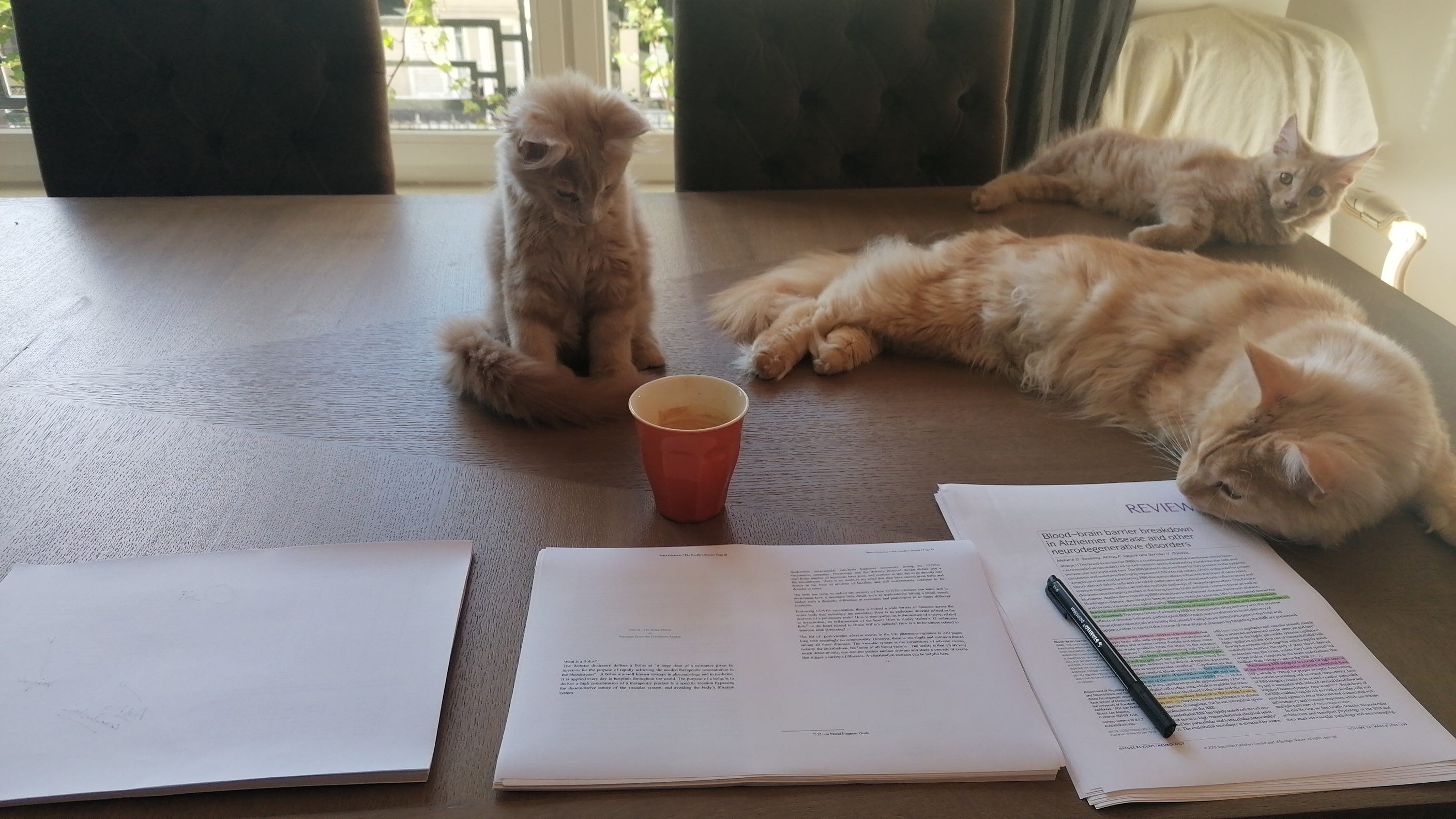 The Bolus Theory Needs Your Help. - by Marc Girardot