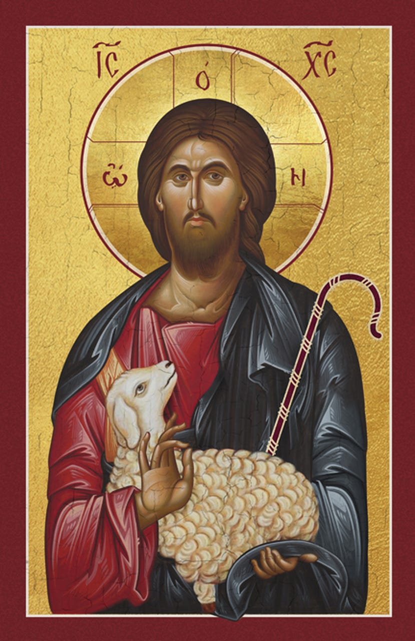 On Being Sheep - Fr Matthew C. Dallman's Substack